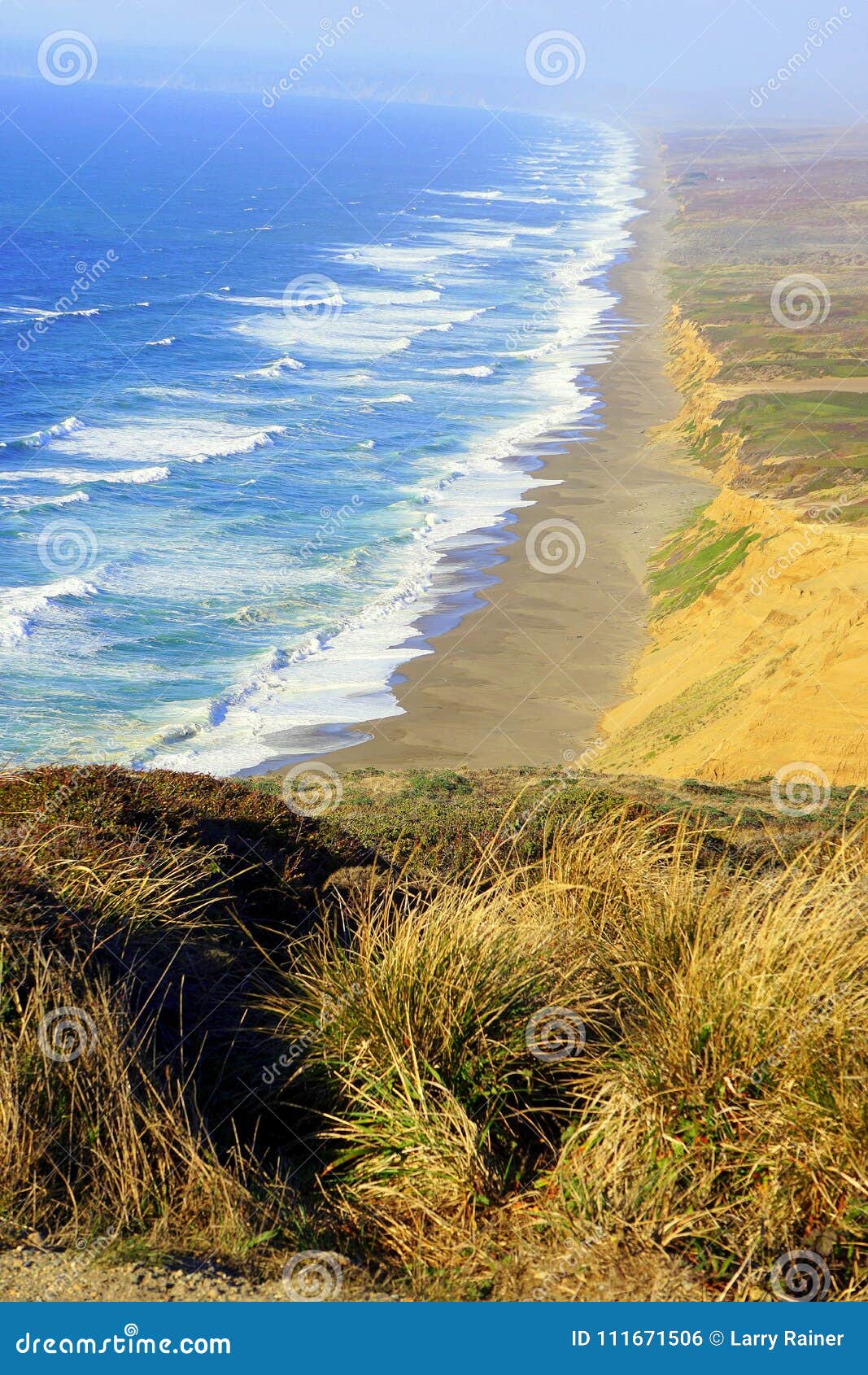 POINT REYES SHORELINE on PACIFIC OCEAN Stock Photo - Image of ...
