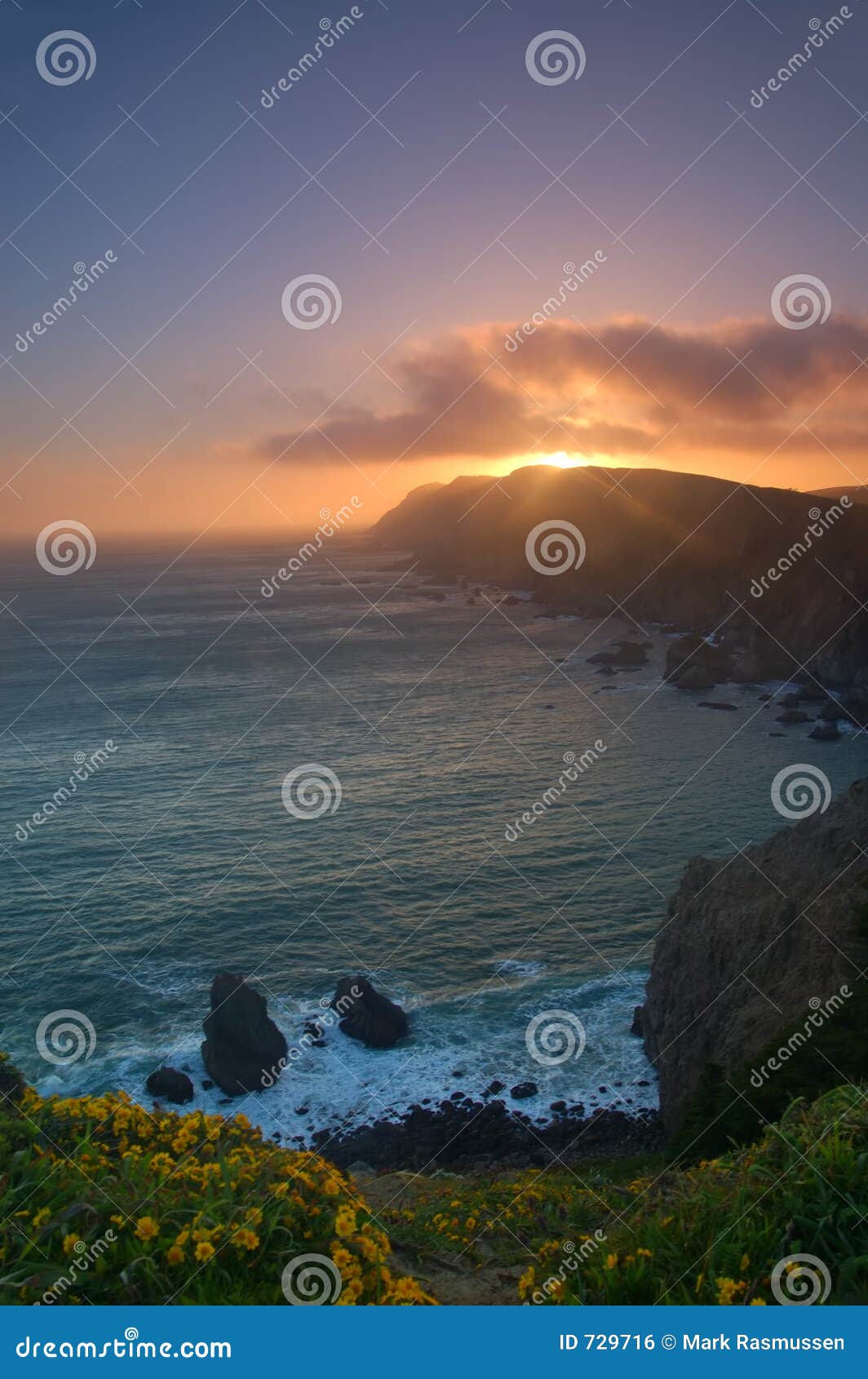 Point Reyes Sunset stock photo. Image of flowers, reyes - 729716