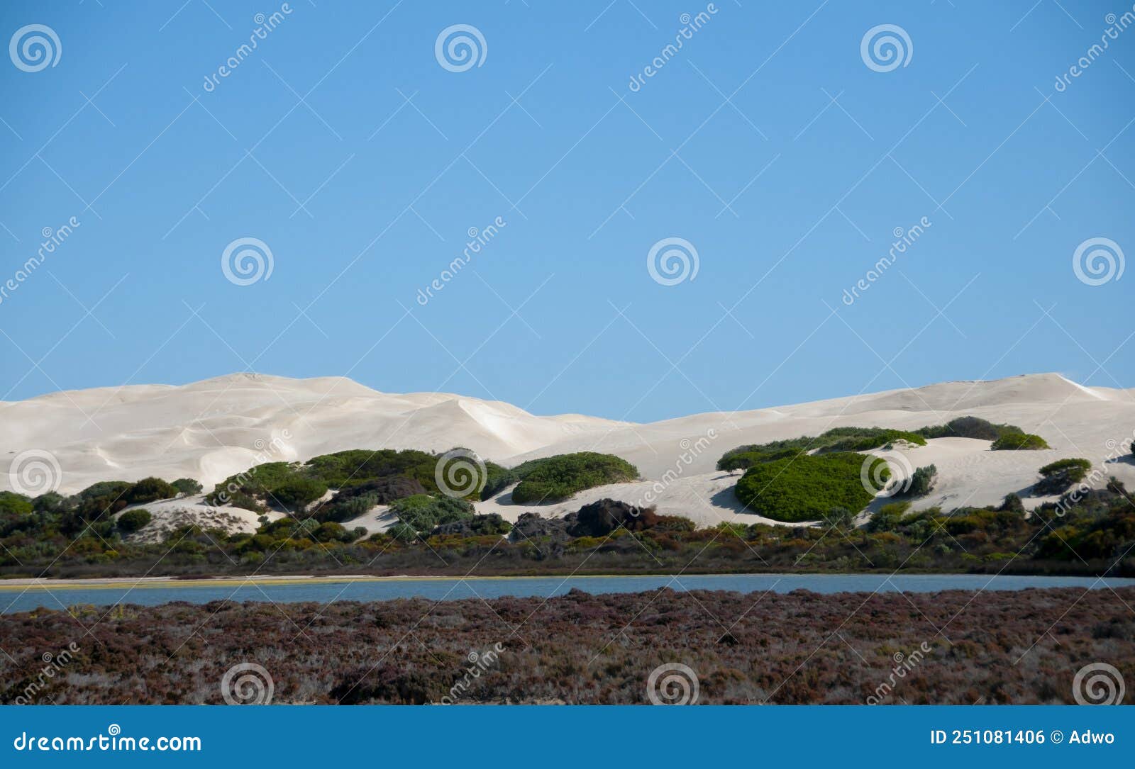 Point Sinclair Sand Dunes stock photo. Image of south - 251081406