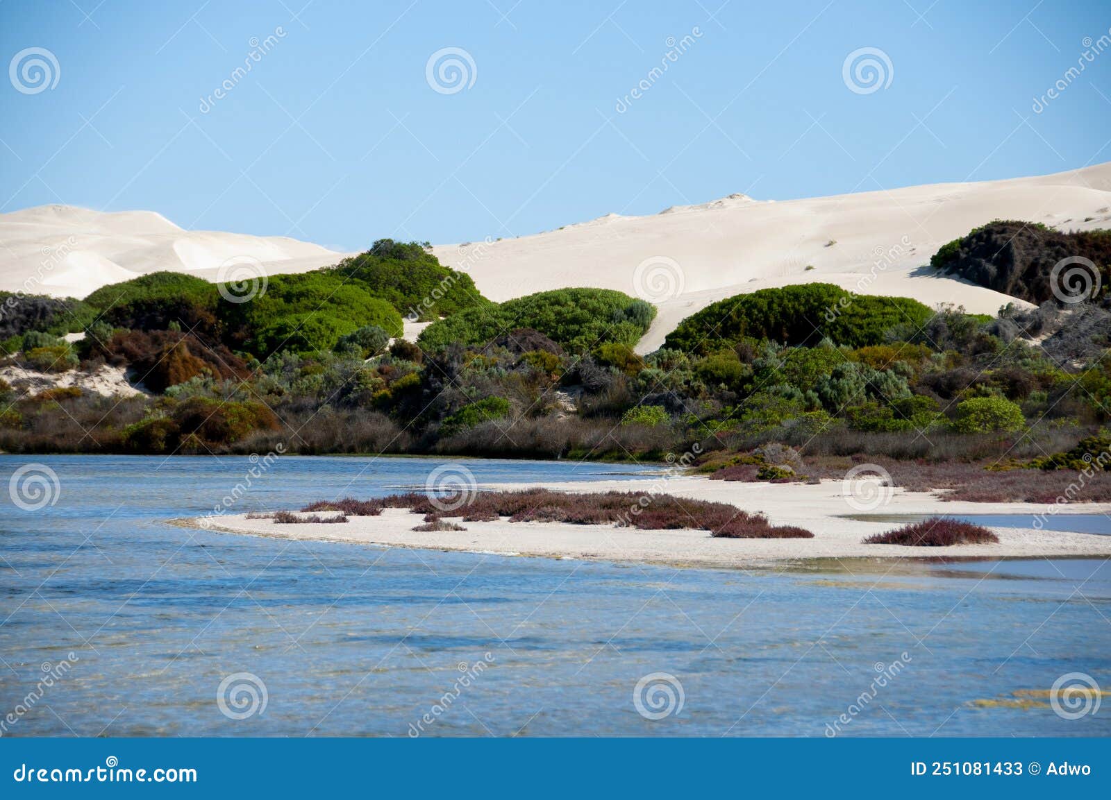 Point Sinclair Sand Dunes stock image. Image of daylight - 251081433