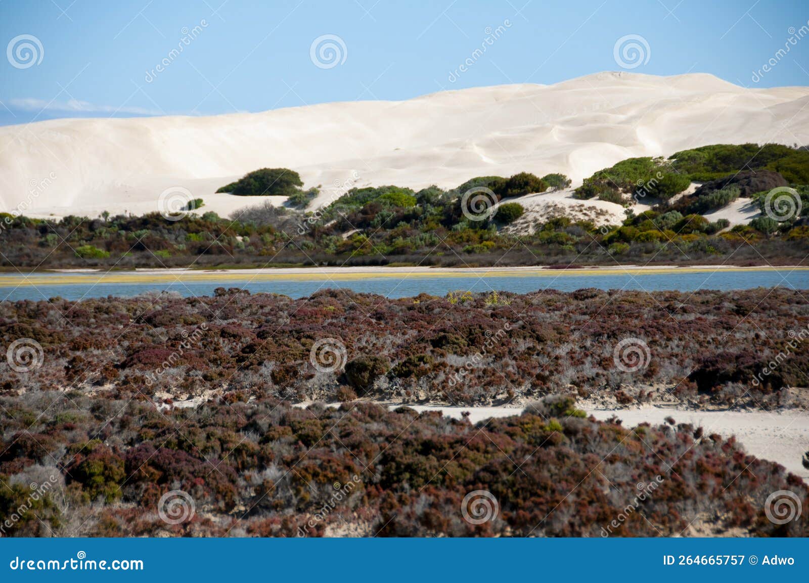 Point Sinclair Sand Dunes stock image. Image of nullarbor - 264665757