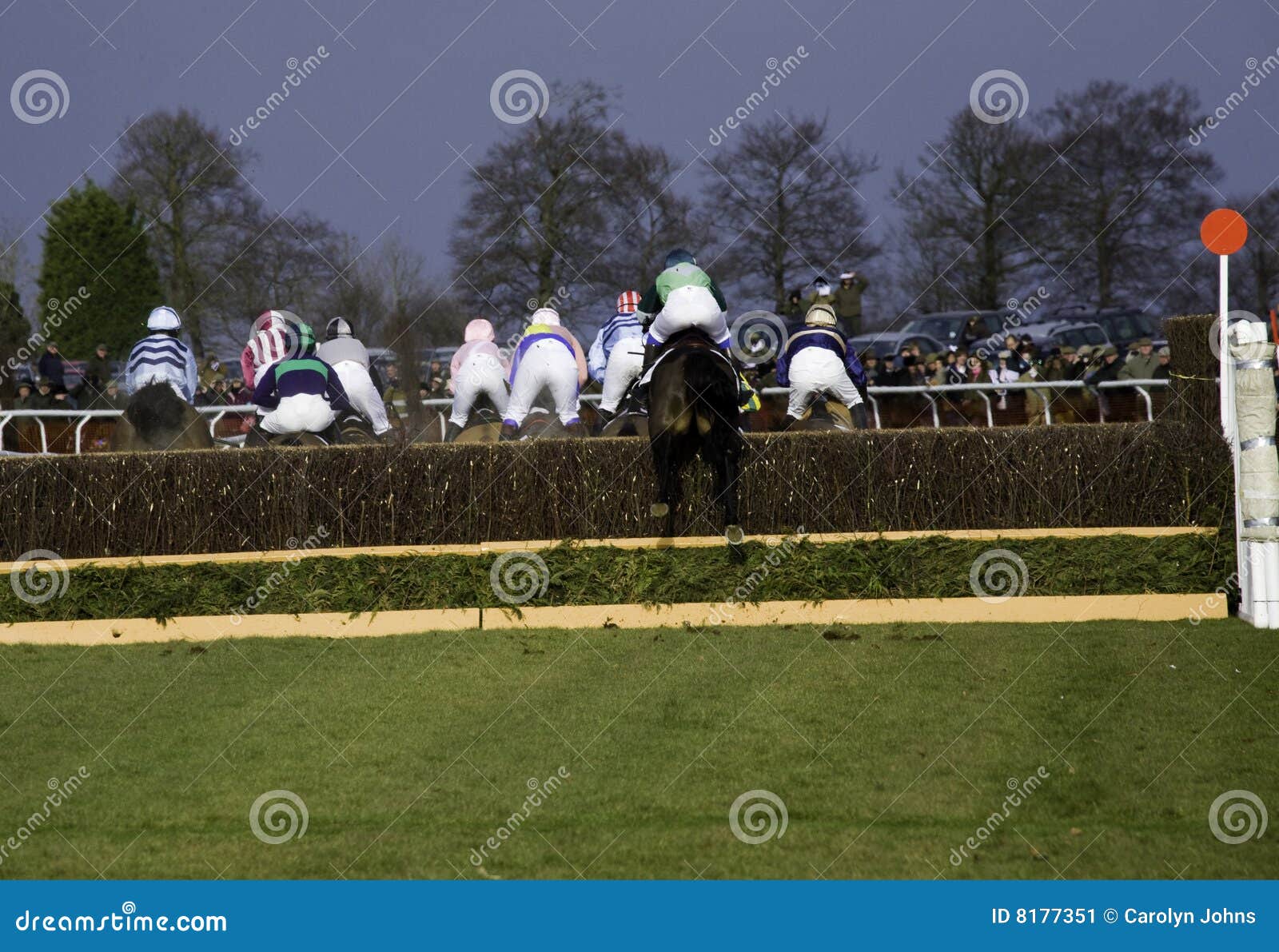 Point To Point Horse Racing Stock Image - Image of jockeys, fence: 8177351