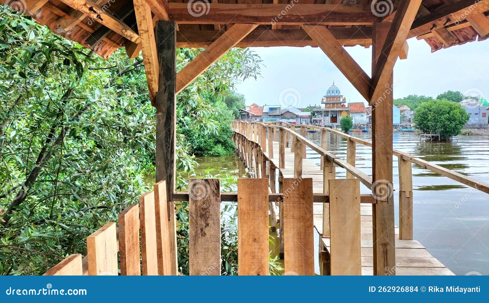 Top View Mangrove Forest Trees And River Ecosystem And Healthy ...