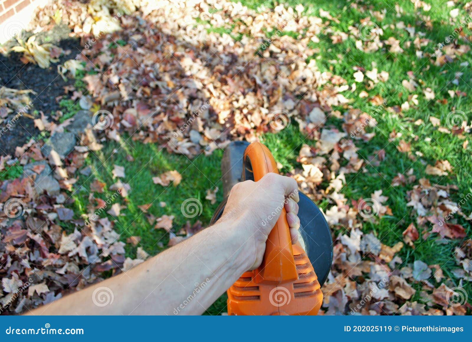 Point of View of a Person Using a Leaf Blower in the Fall Stock Image ...