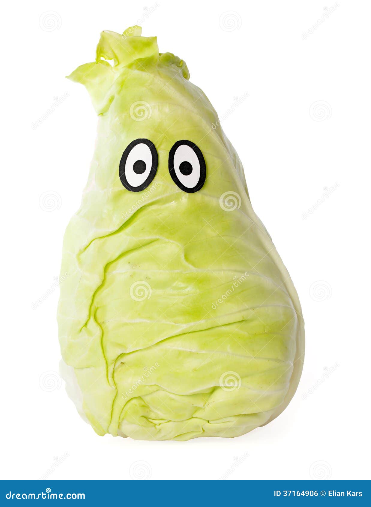 Pointed Cabbage Head with Eyes and Crest Stock Photo - Image of ...