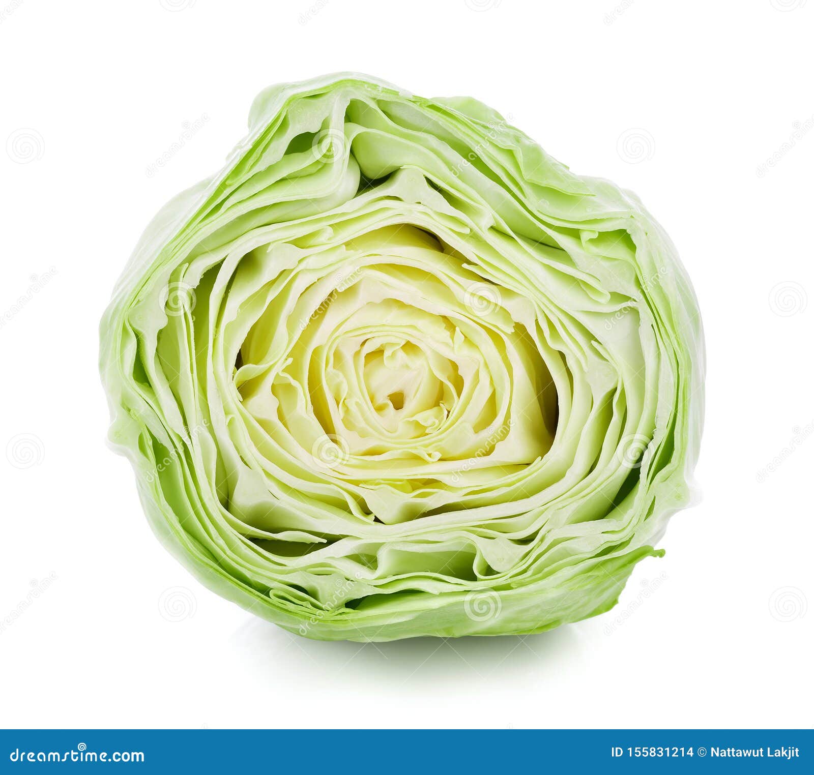 Pointed Cabbage on White Background Stock Photo - Image of vegetable ...