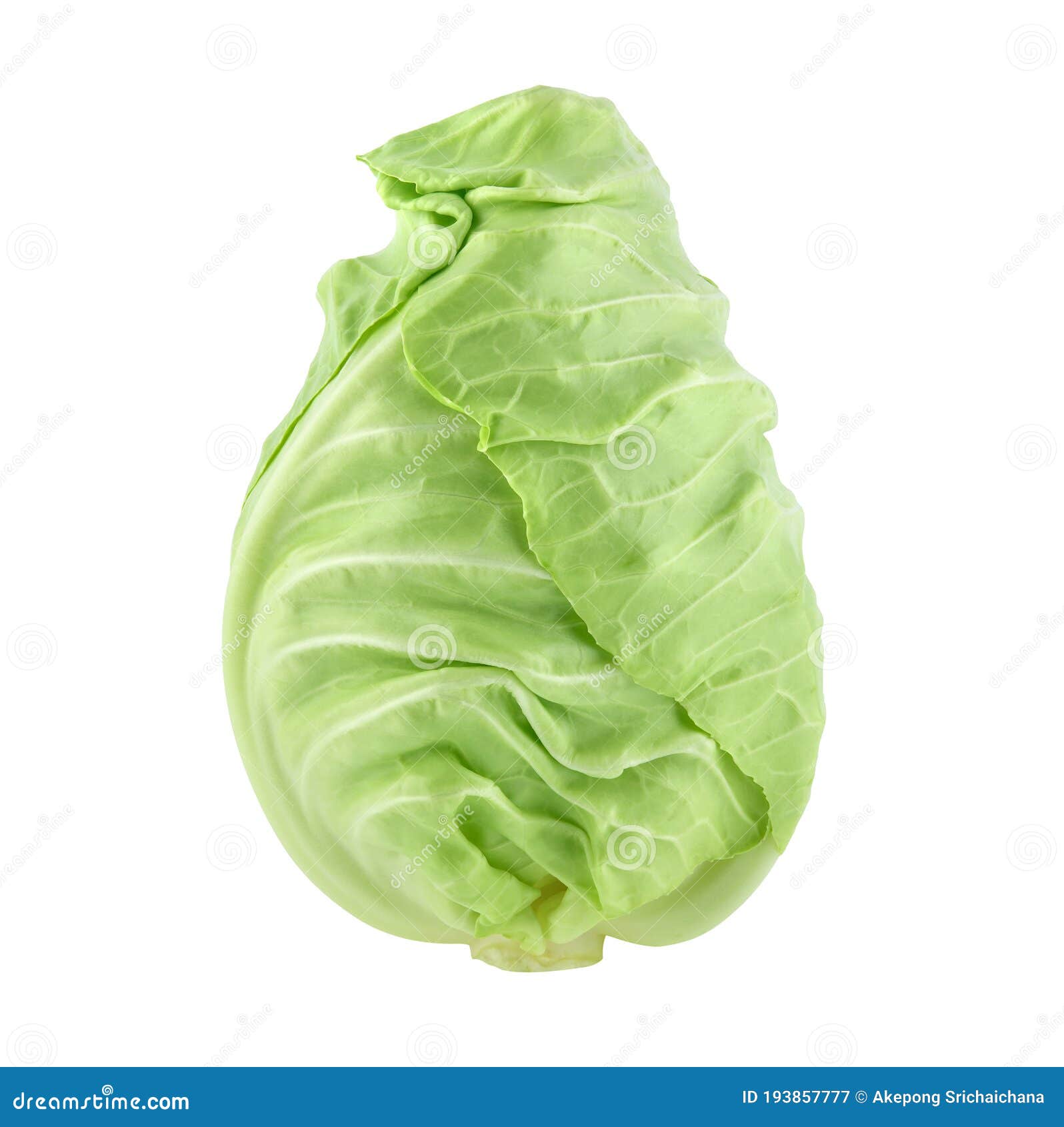 Pointed Cabbage Isolated on White Background Stock Image - Image of ...