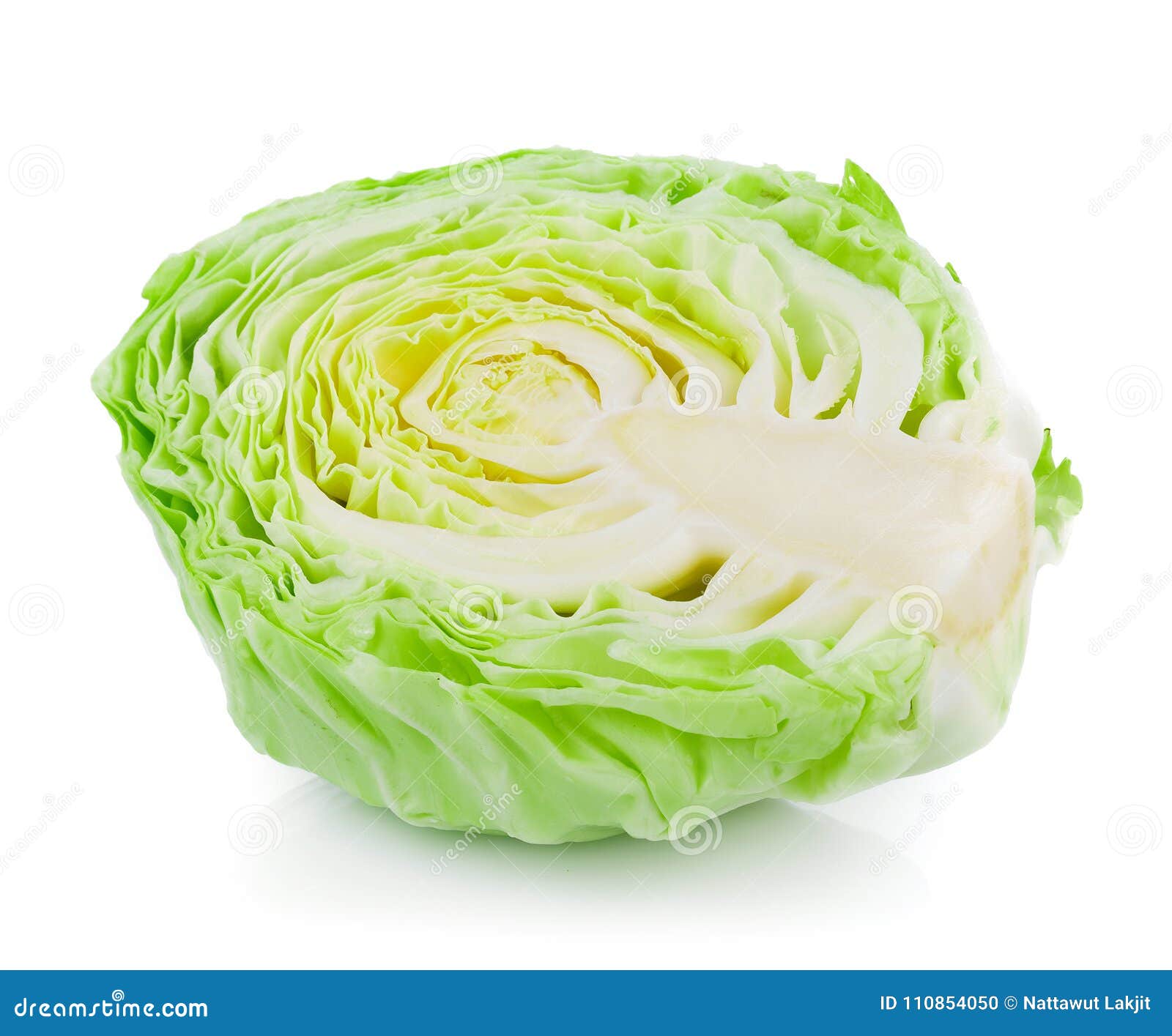 Pointed Cabbage Isolated on White Background Stock Photo - Image of ...