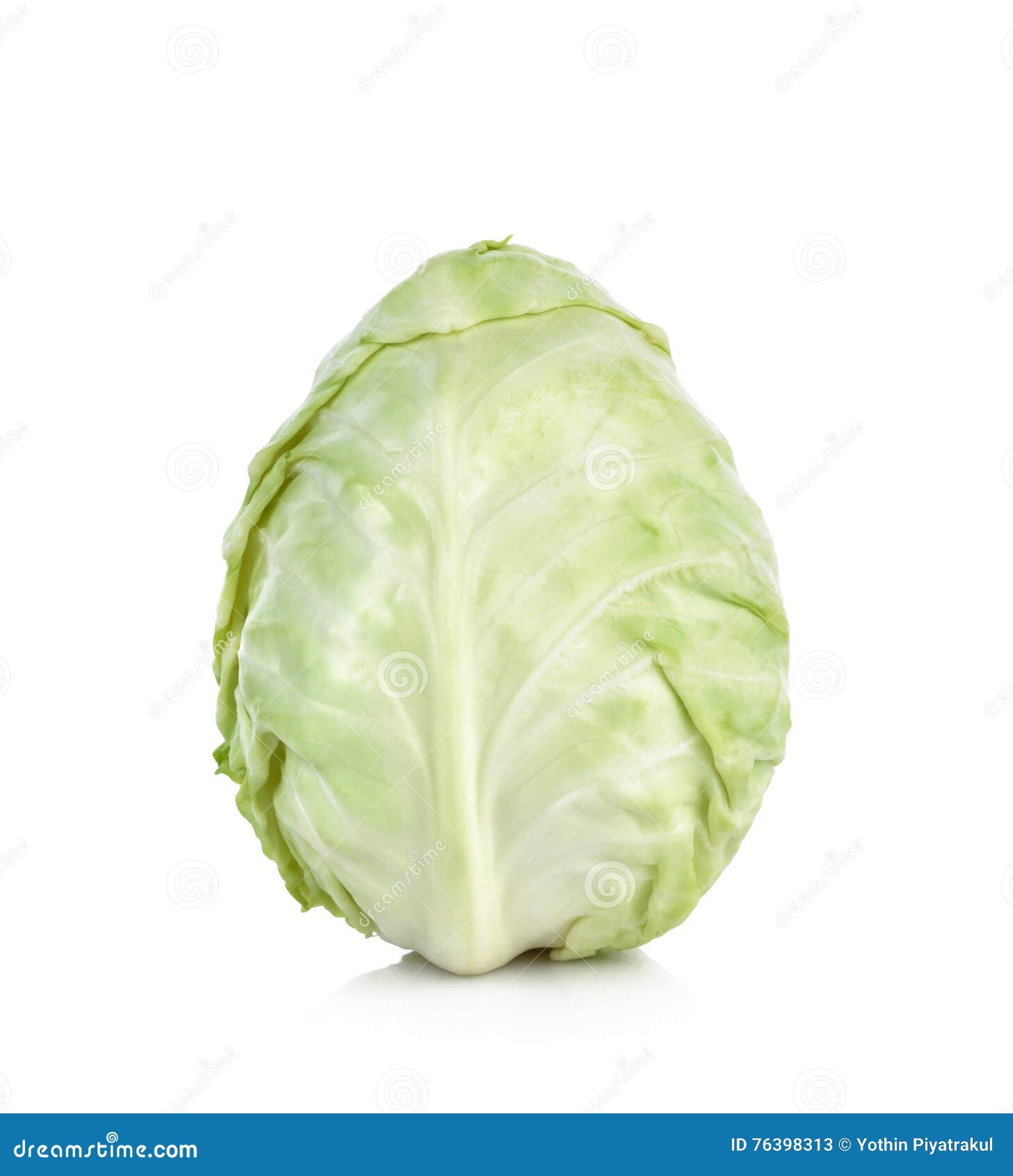 Pointed Cabbage on White Background. Stock Image - Image of vegetable ...
