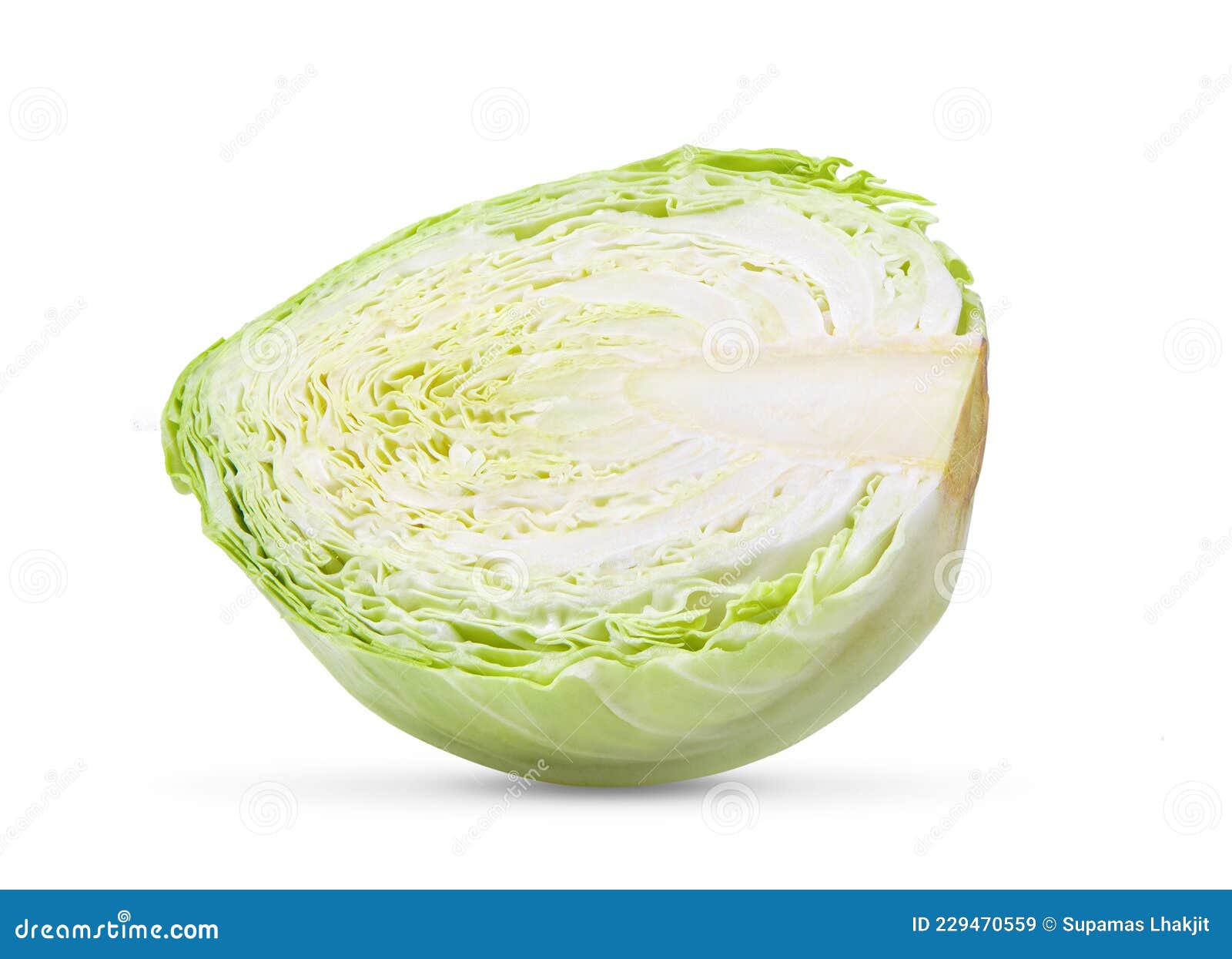 Pointed Cabbage on White Background Stock Image - Image of vegan, leaf ...