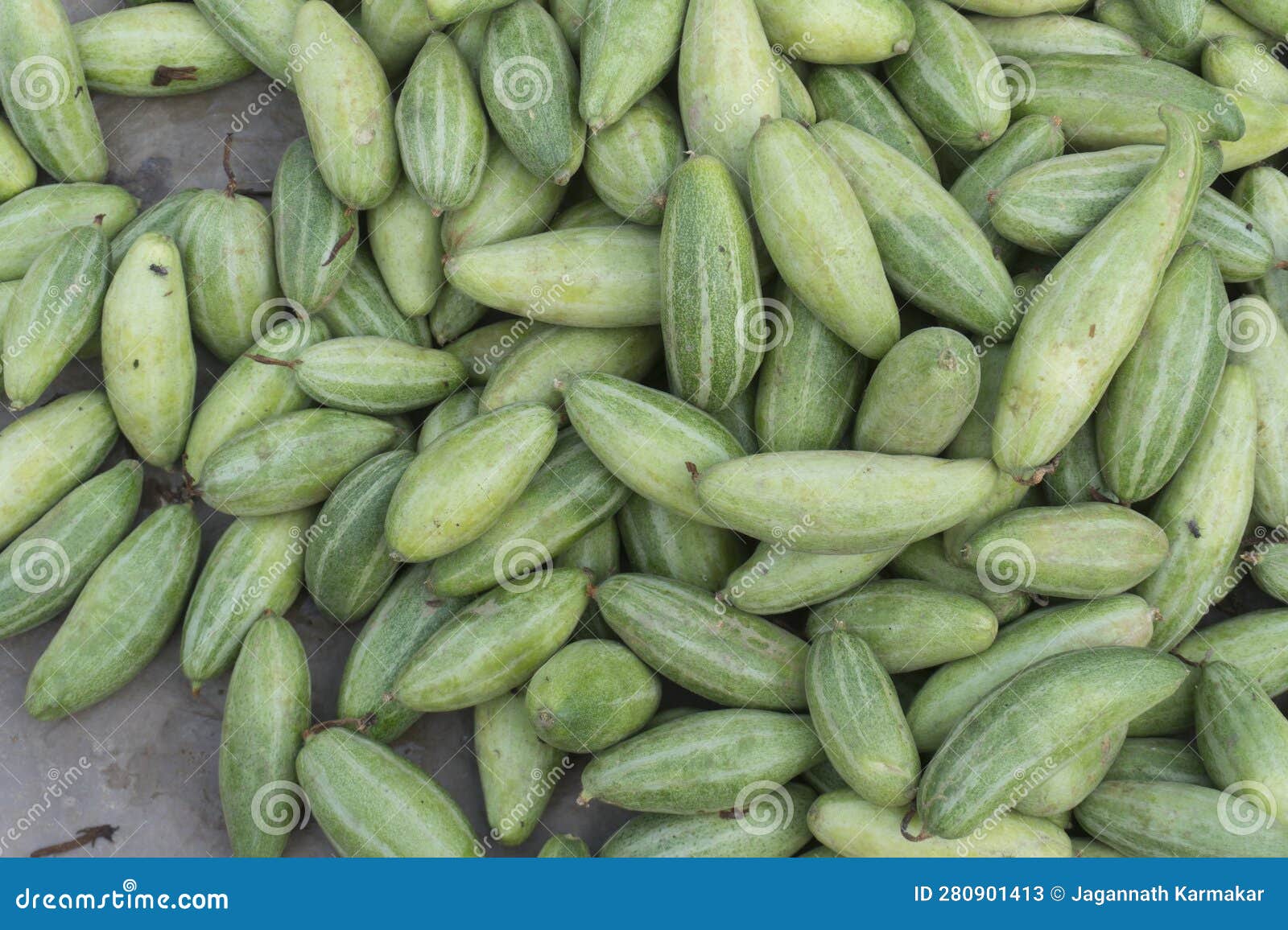 Pointed Gourd are Being Sold in the Market. Stock Image - Image of ...