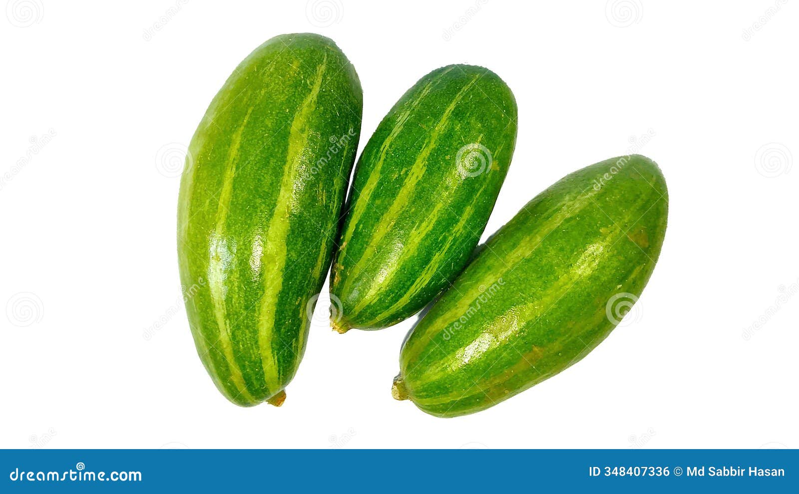 Pointed Gourd Isolated in White Background Stock Photo - Image of ...