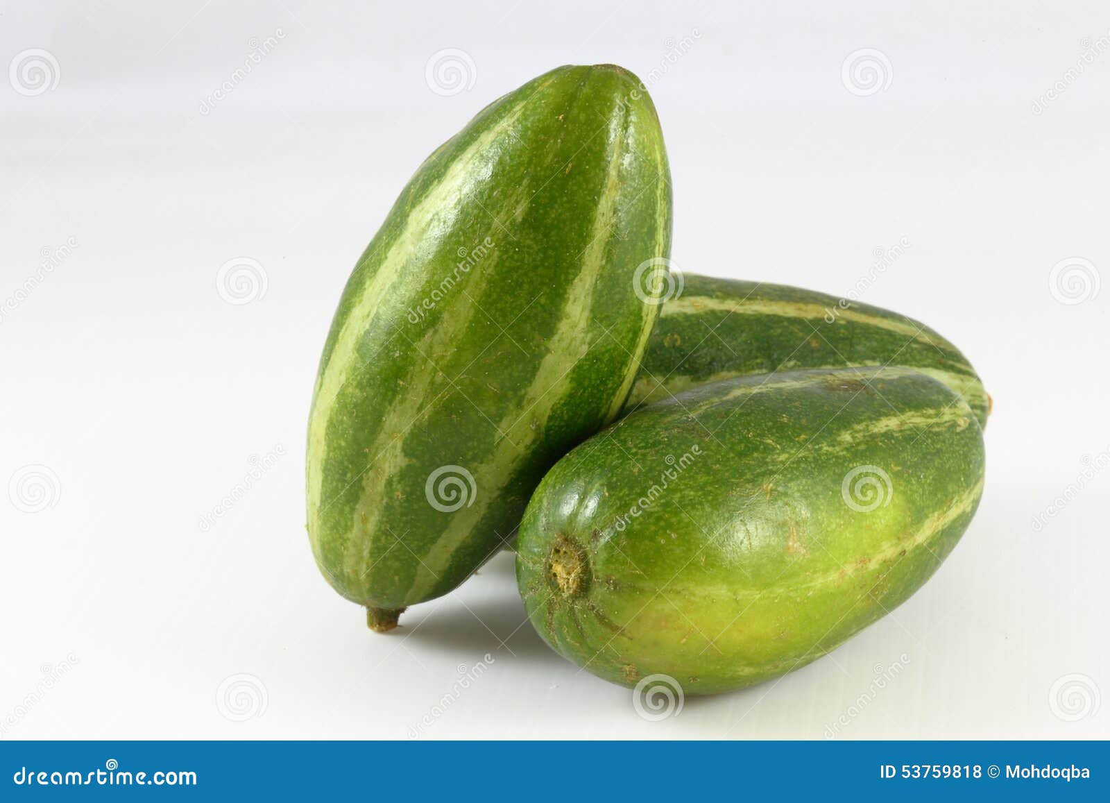 Pointed Gourd Potol stock photo. Image of fresh, food - 53759818