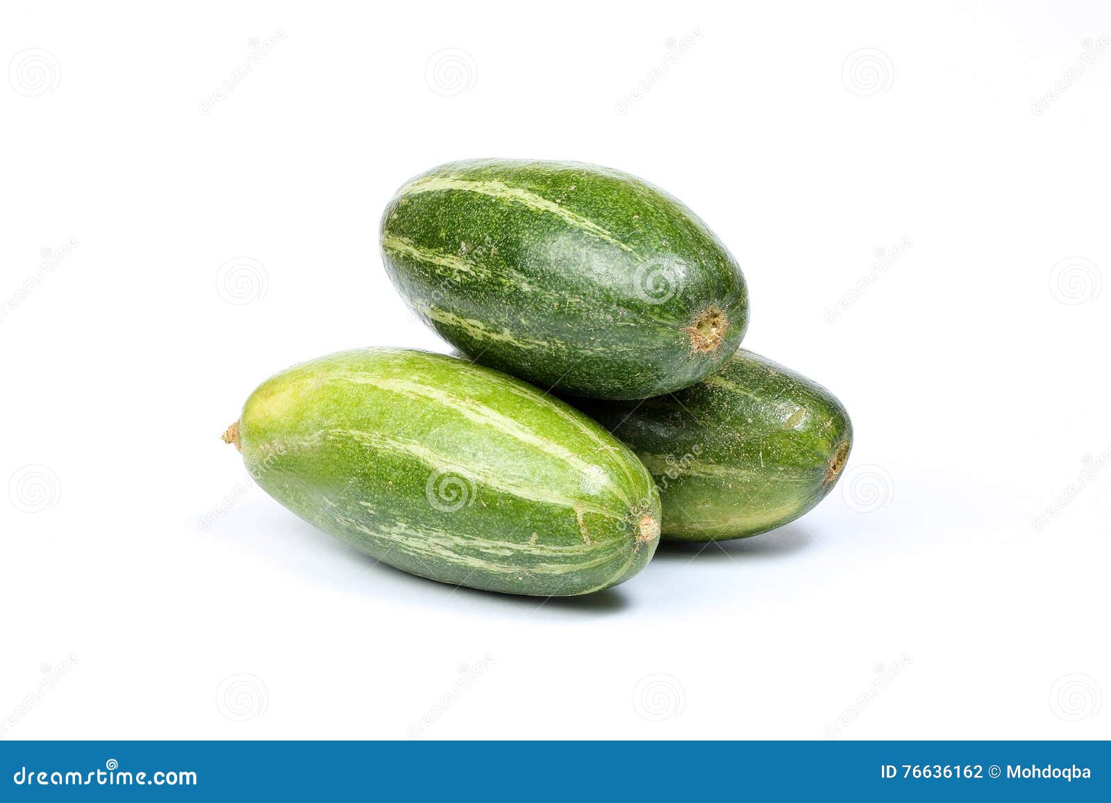 Pointed gourd potol stock photo. Image of harvest, patola - 76636162
