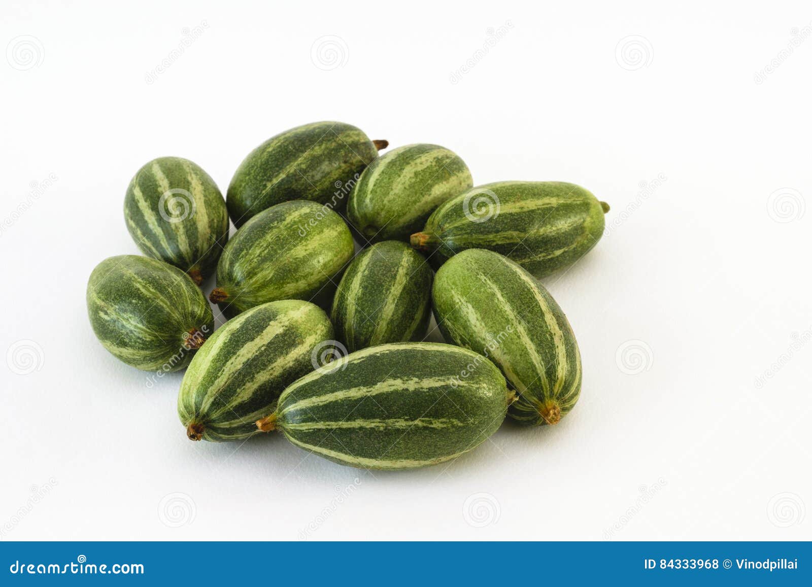 Trichosanthes Dioica, Also Known As Pointed Gourd, Is A Vine Plant In ...