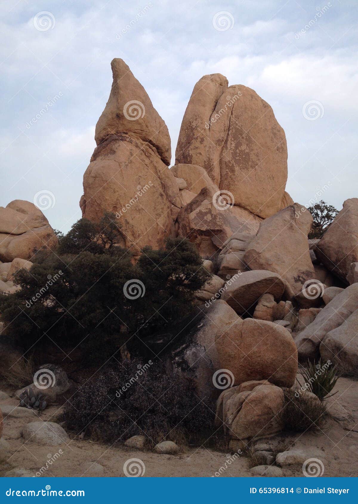 Pointed Rock stock photo. Image of desert, boulder, tree - 65396814