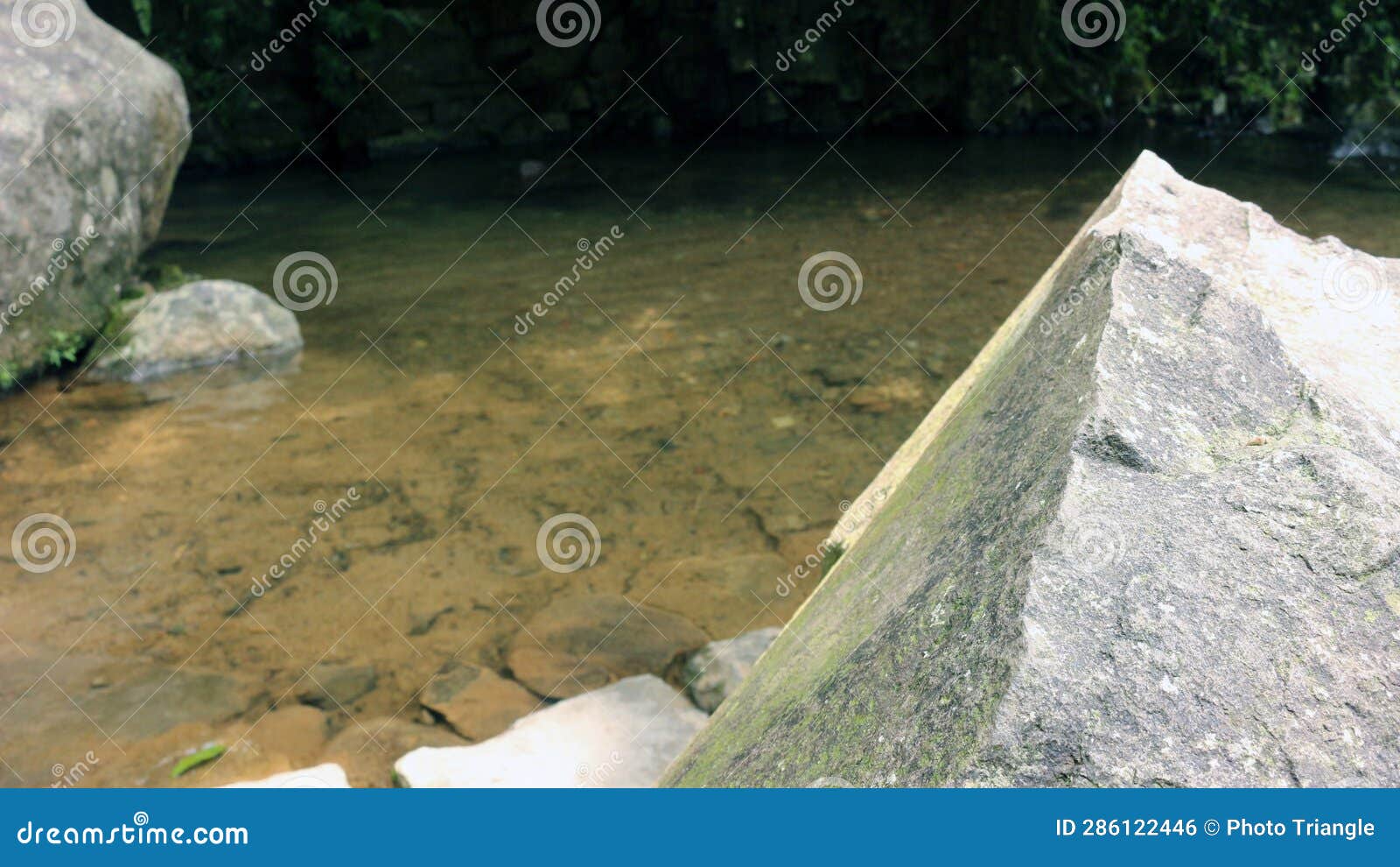 Pointed Rocks at Waterfall with Plants and River Stock Photo - Image of ...