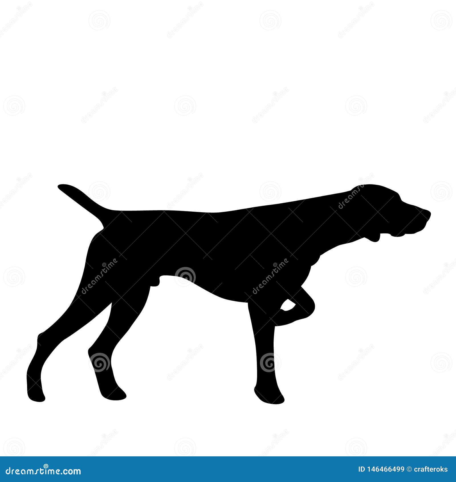 Pointer Dog Hand Drawn, Vector, Eps, Logo, Icon, Silhouette ...