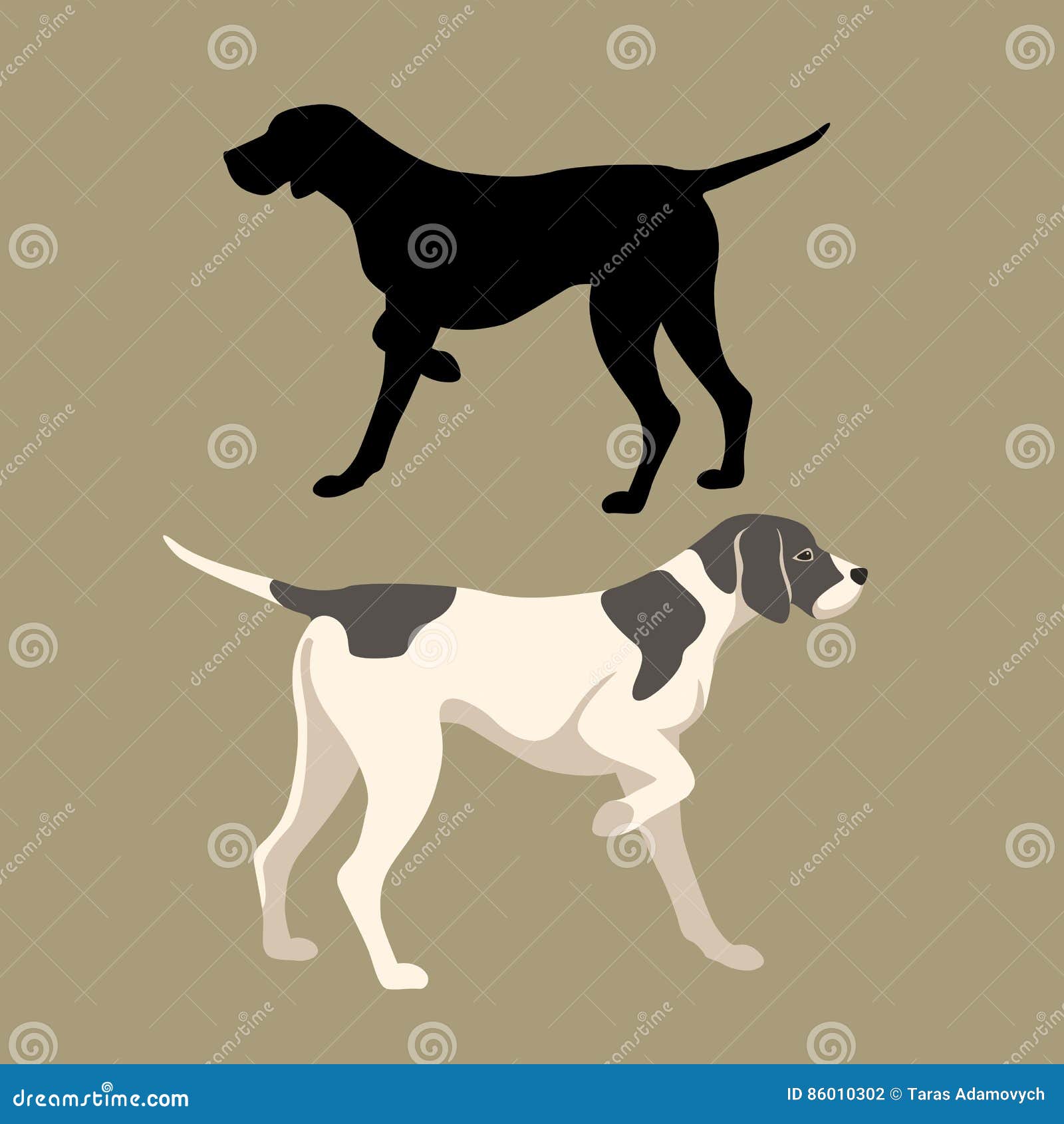 Pointer Dog Vector Illustration Style Flat Stock Vector - Illustration ...