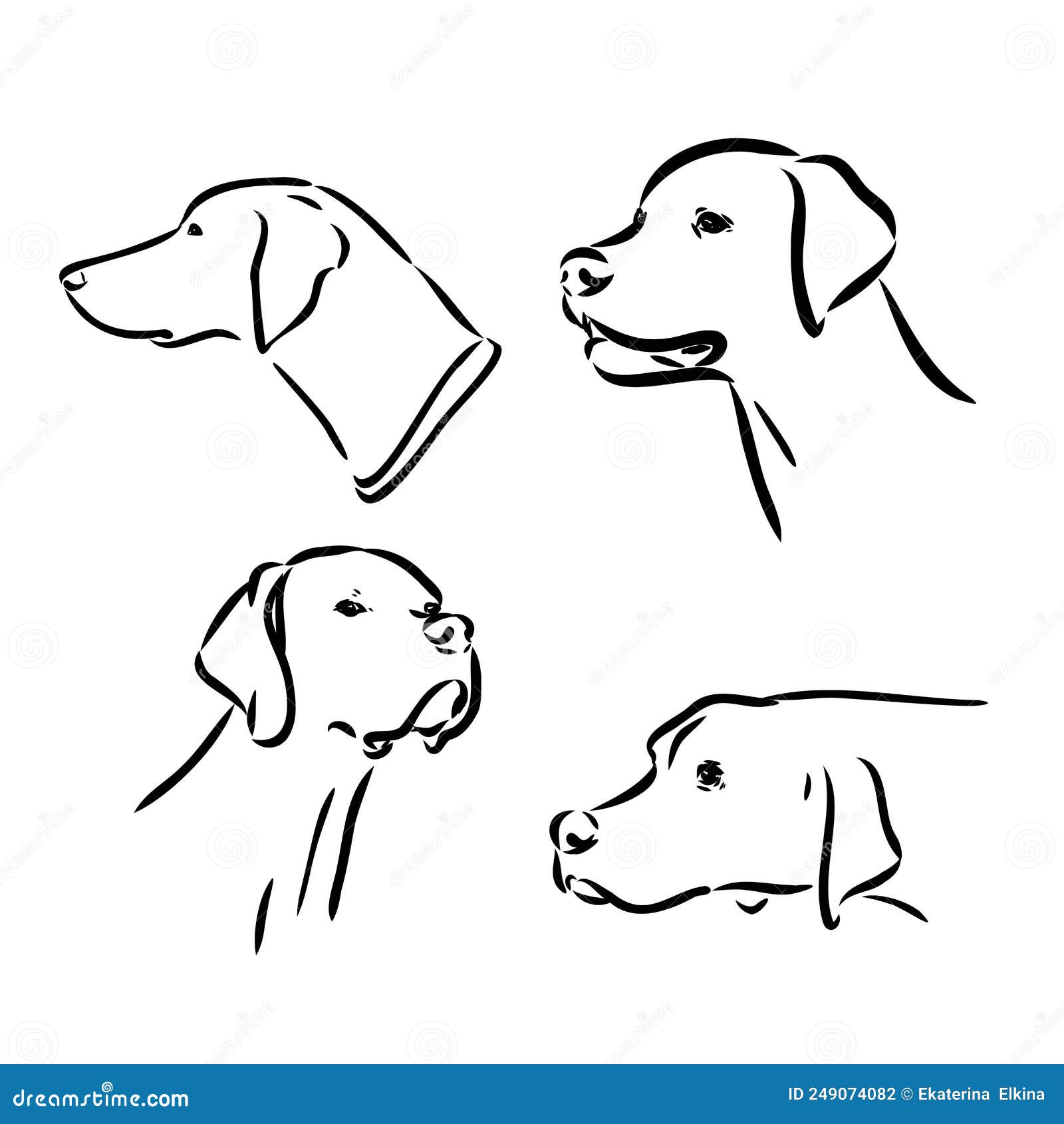 Pointer Hunting Dog Sketch, Contour Vector Illustration Stock Vector ...