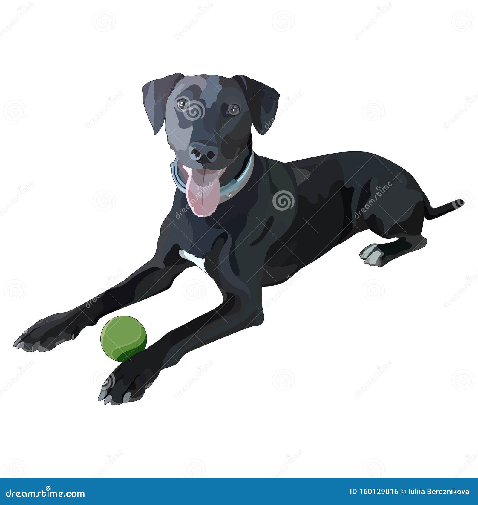 Pointer stock vector. Illustration of ball, hound, pointer - 160129016