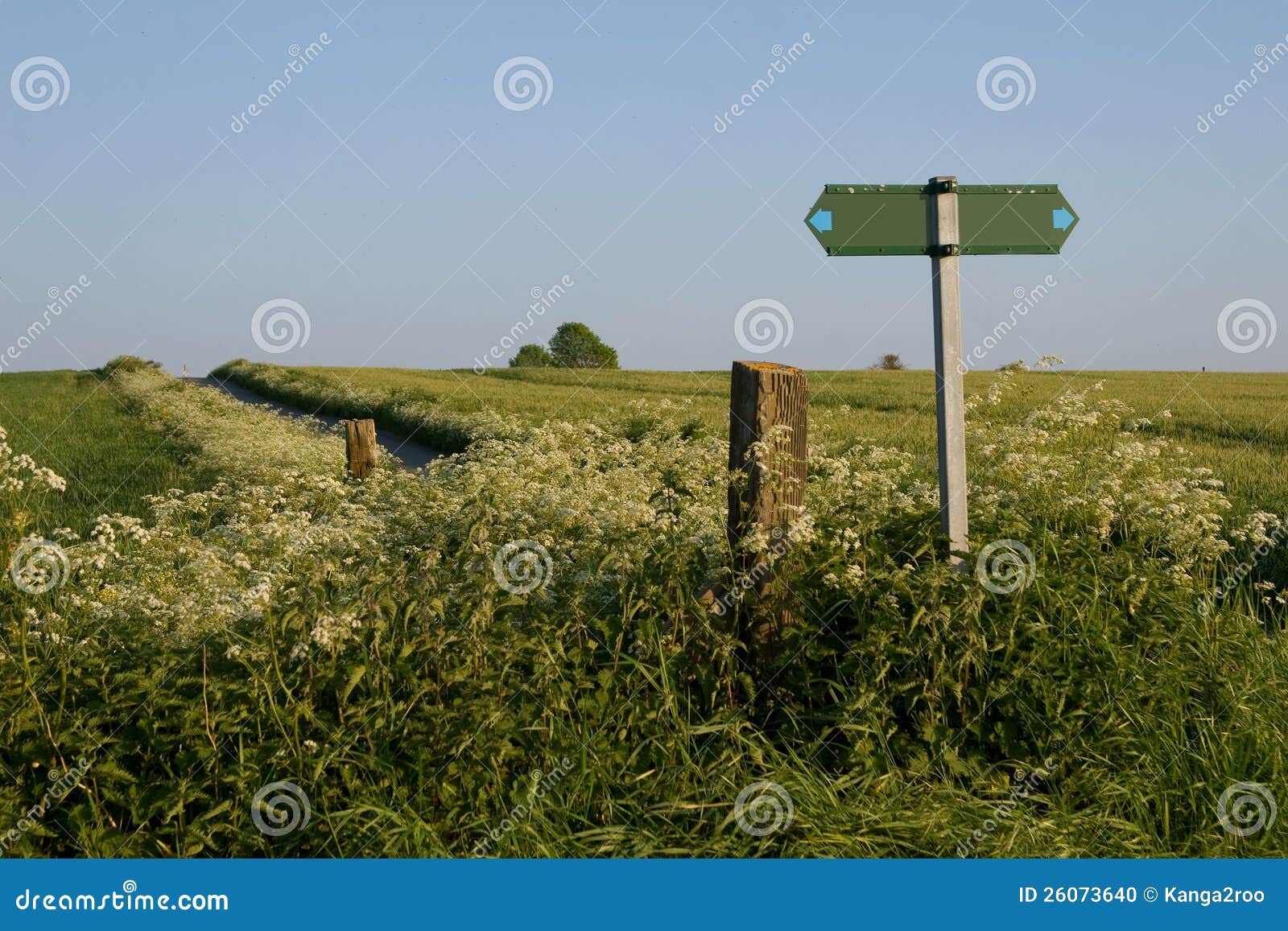 Pointer post in the field stock photo. Image of sign - 26073640