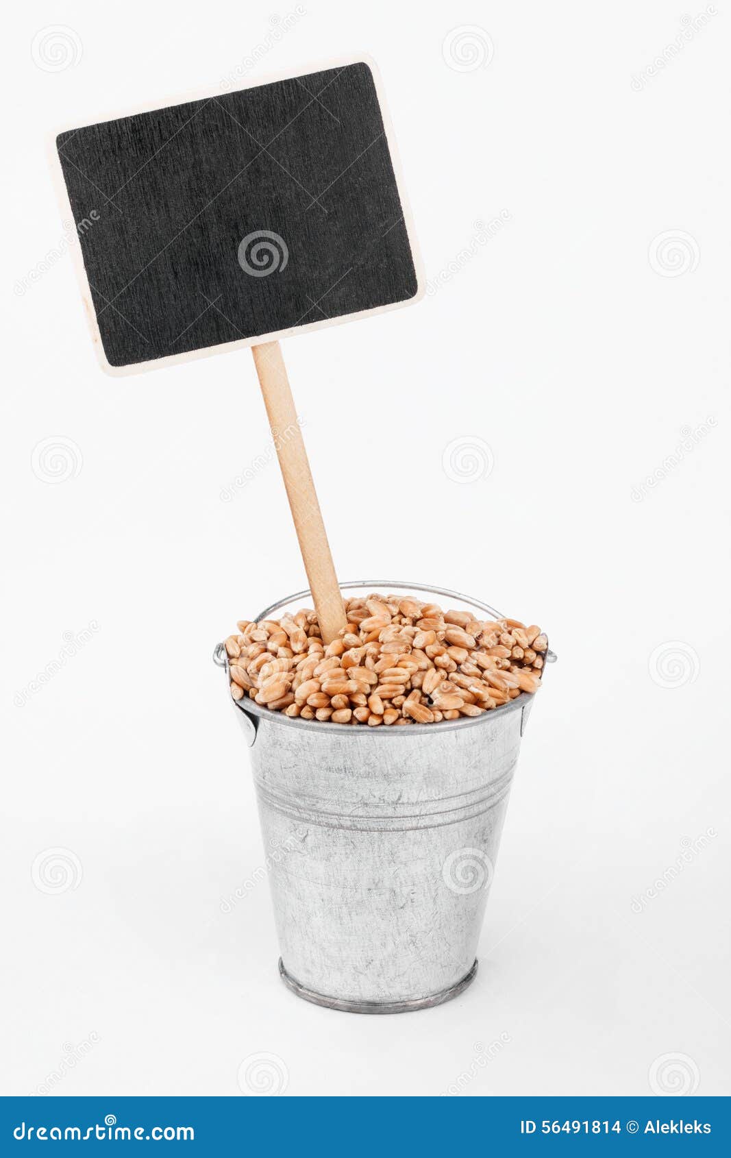 Pointer, Price in Bucket of Wheat Grains Stock Photo - Image of ...