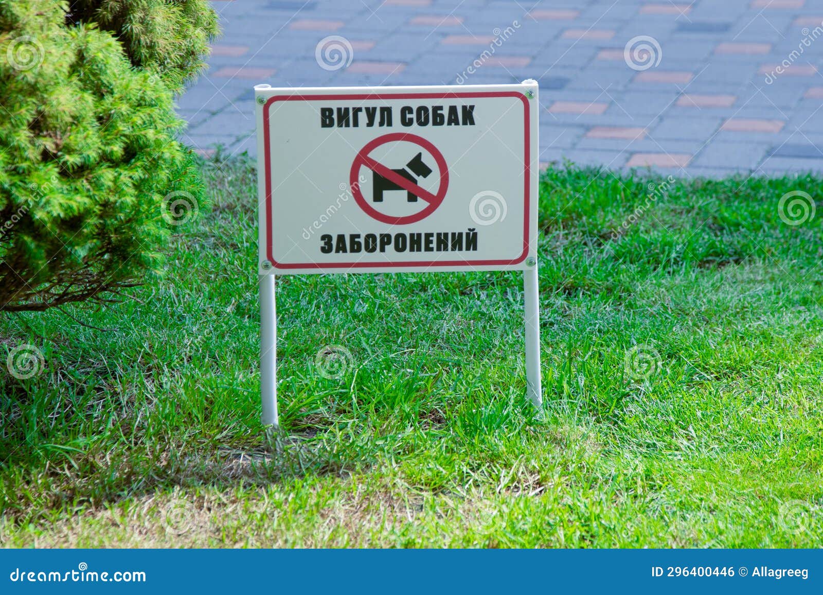 Pointer Sign on the Lawn with Green Grass. Banner Text Dog Walking is ...