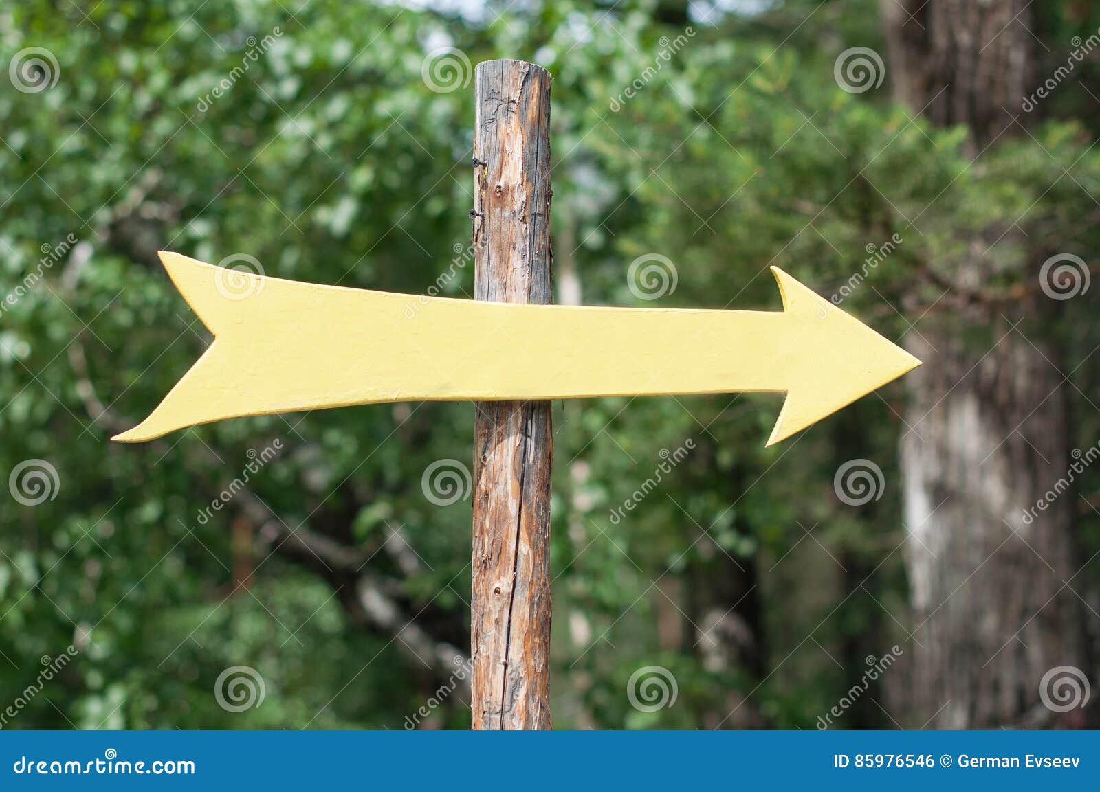 A Pointer To the Column in the Woods Stock Photo - Image of post ...
