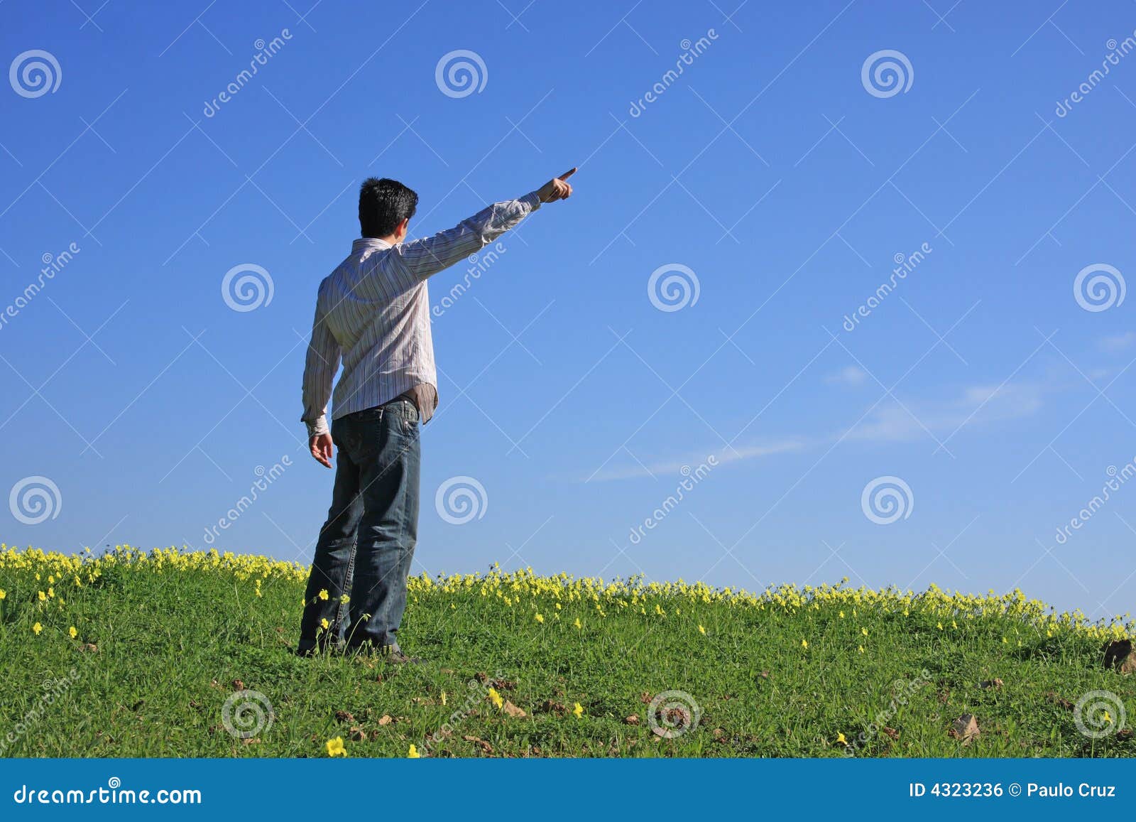 Pointing stock photo. Image of confident, outdoor, green - 4323236