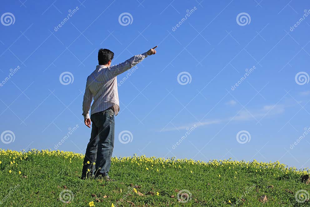 Pointing stock photo. Image of confident, outdoor, green - 4323236