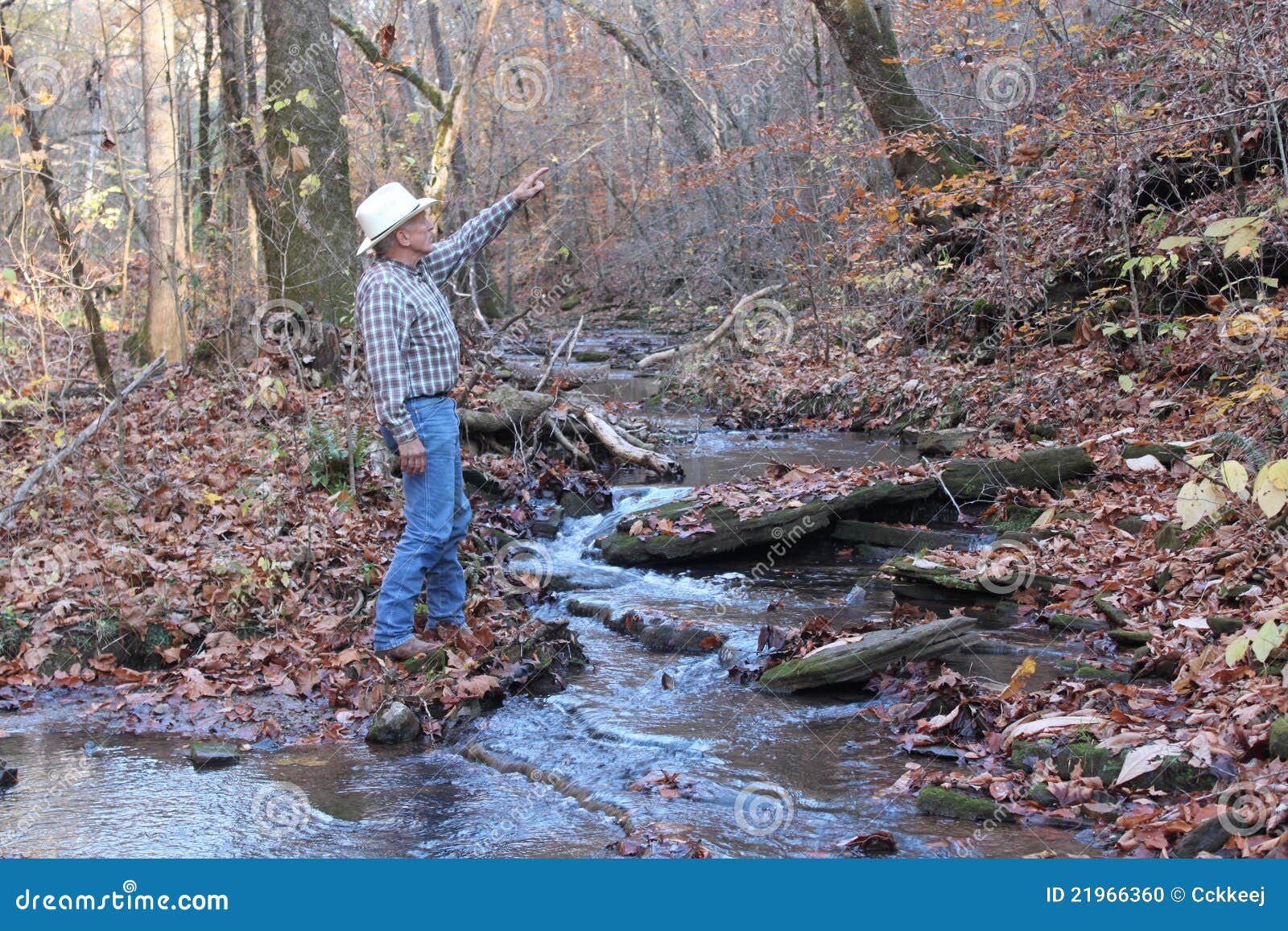 Pointing Cowboy stock photo. Image of cowboy, nature - 21966360