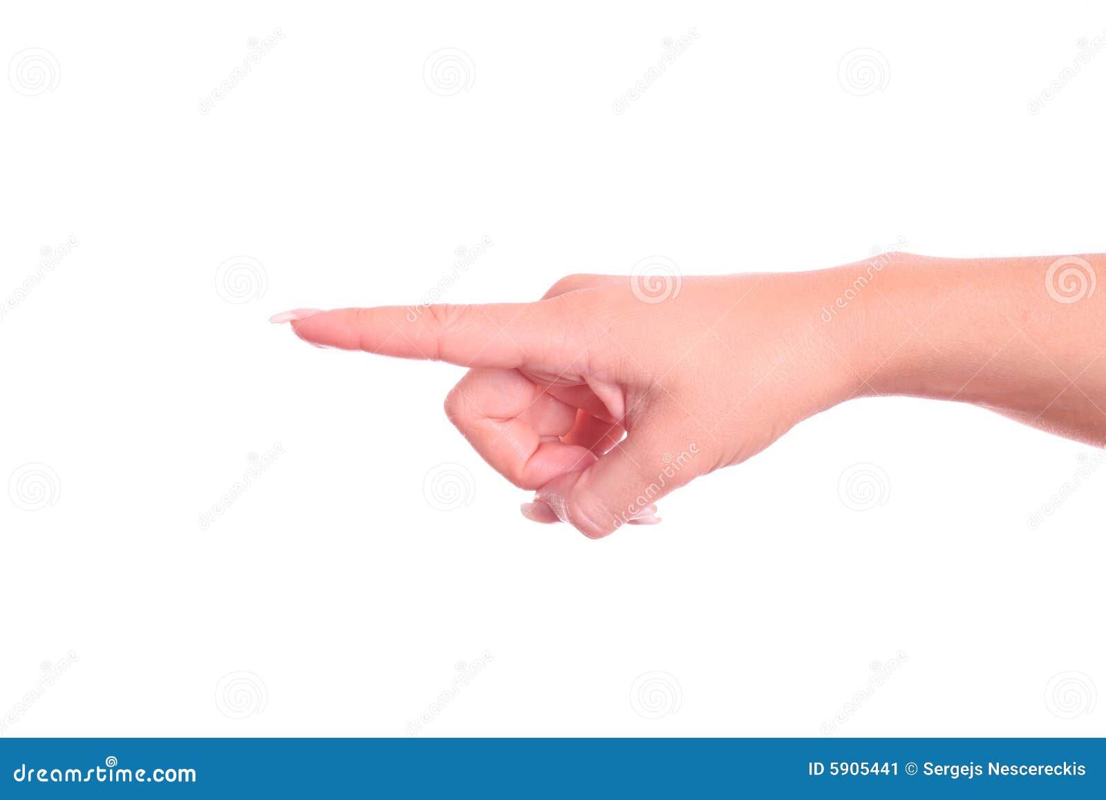Pointing finger isolated. stock image. Image of aiming - 5905441