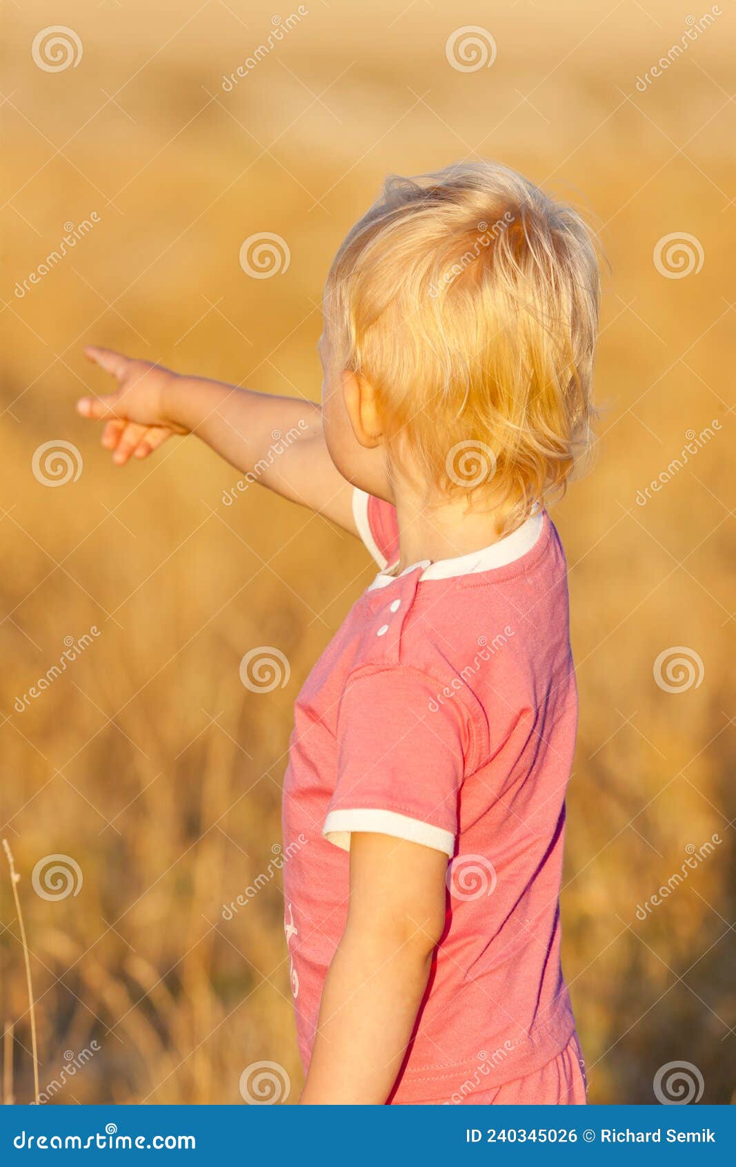 Pointing little girl stock photo. Image of person, standing - 240345026