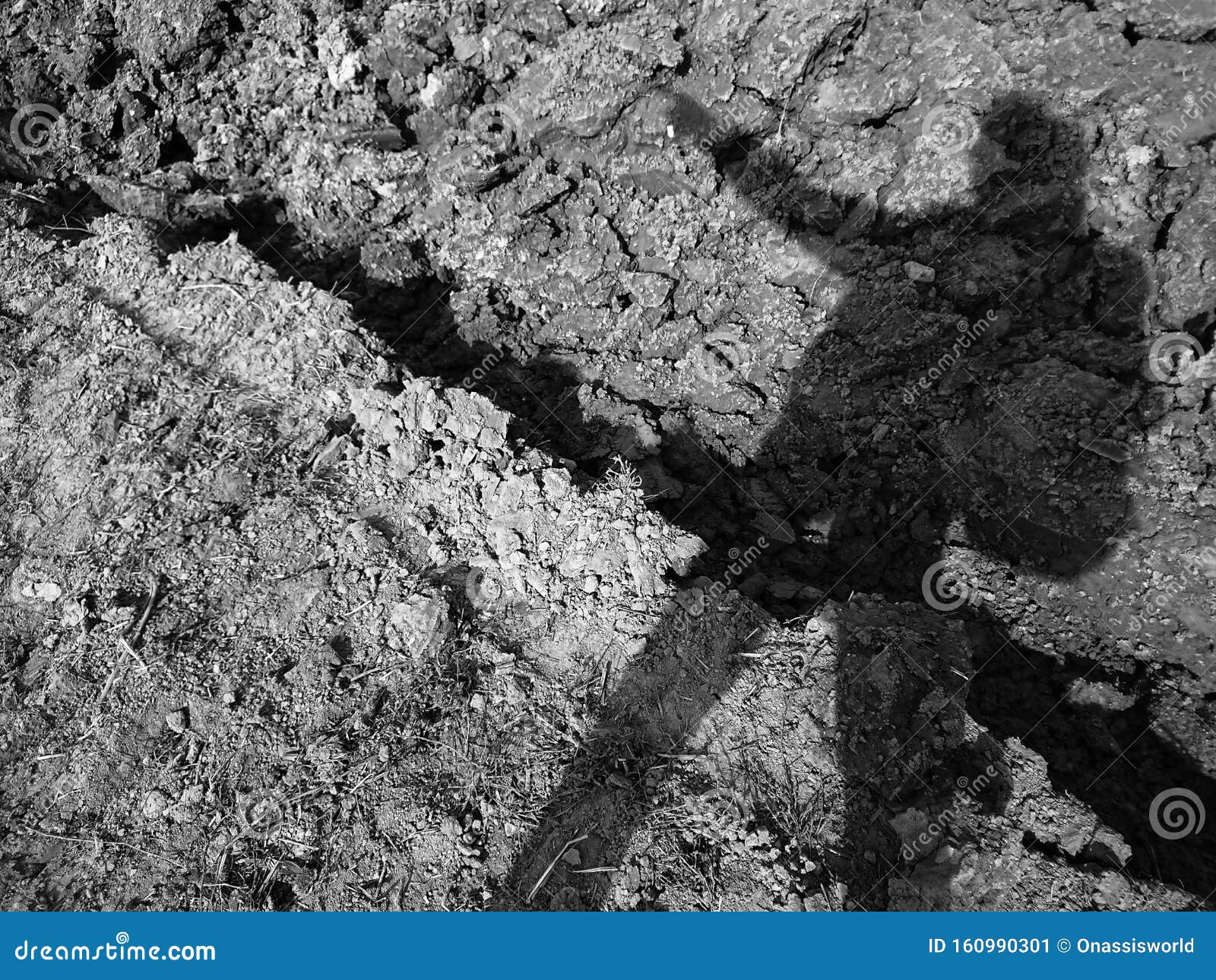 Pointing Man Shadow in Black & White Stock Image - Image of shadow ...