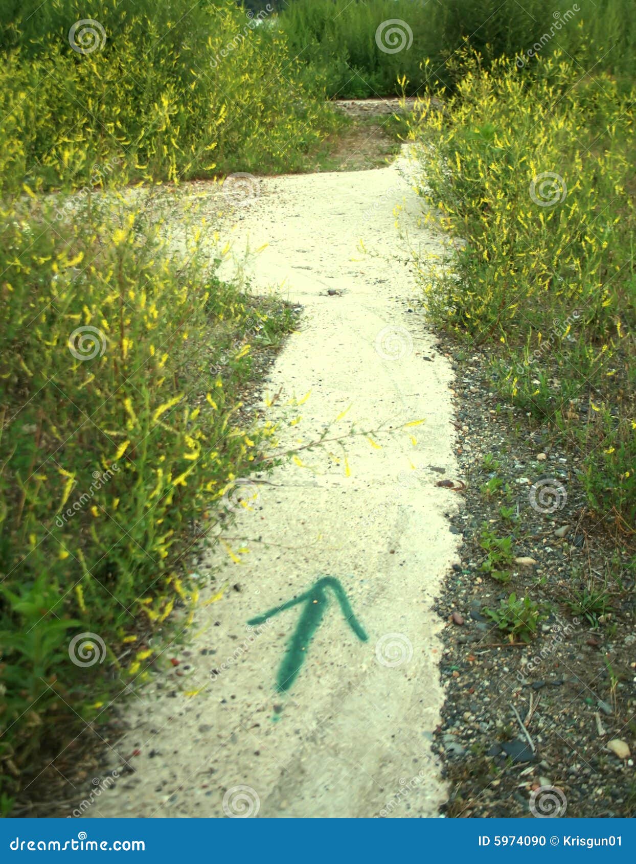 Pointing Path stock photo. Image of lead, direct, arrows - 5974090