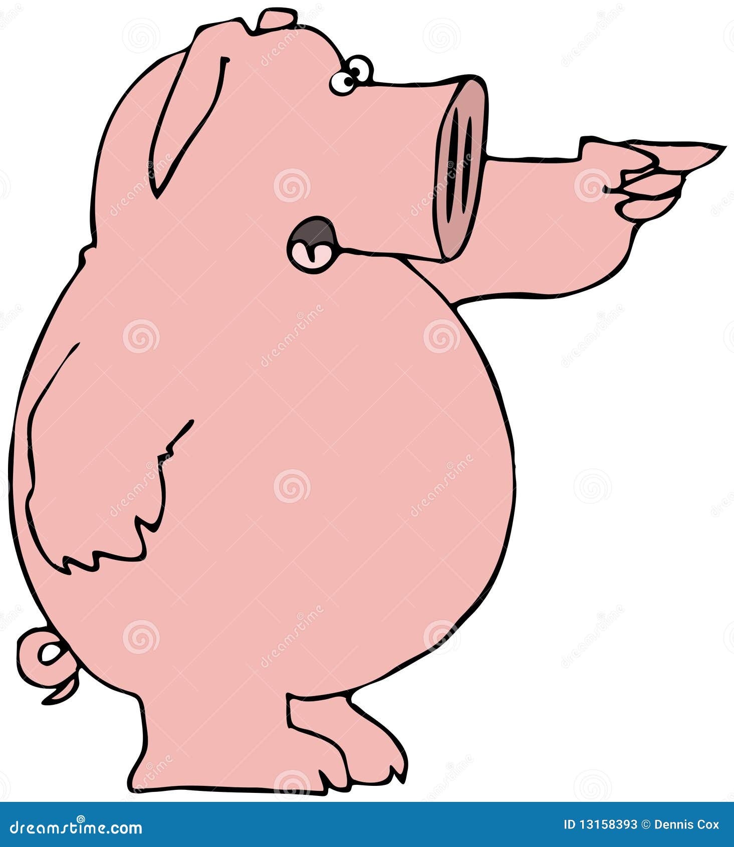 Pointing Pig stock illustration. Illustration of tail - 13158393