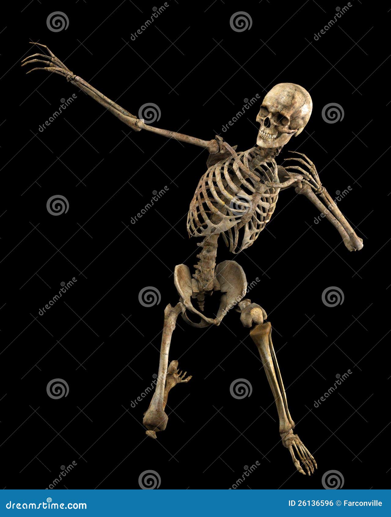 Pointing skeleton stock illustration. Illustration of skull - 26136596