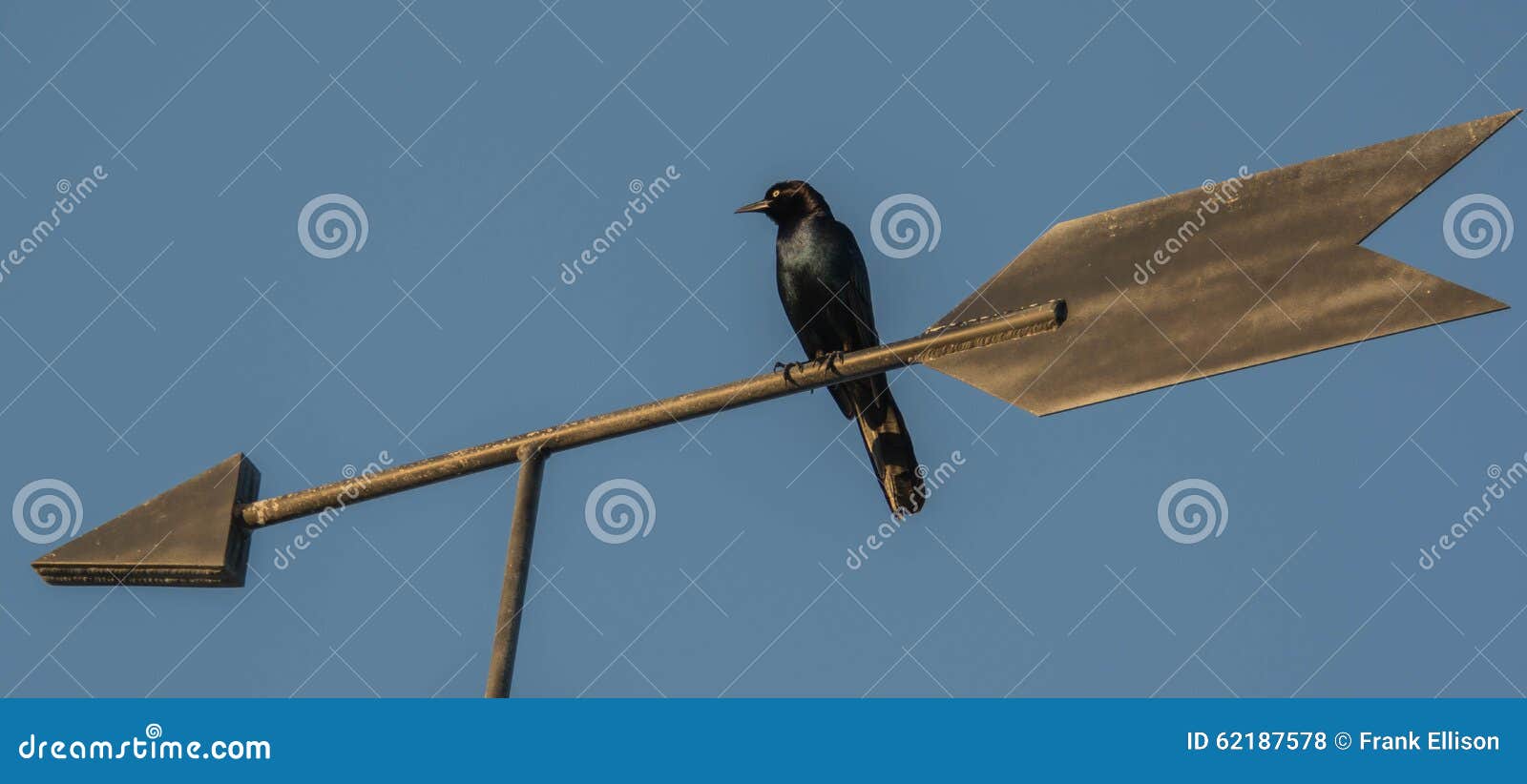 Pointing South stock photo. Image of wind, vane, pointing - 62187578