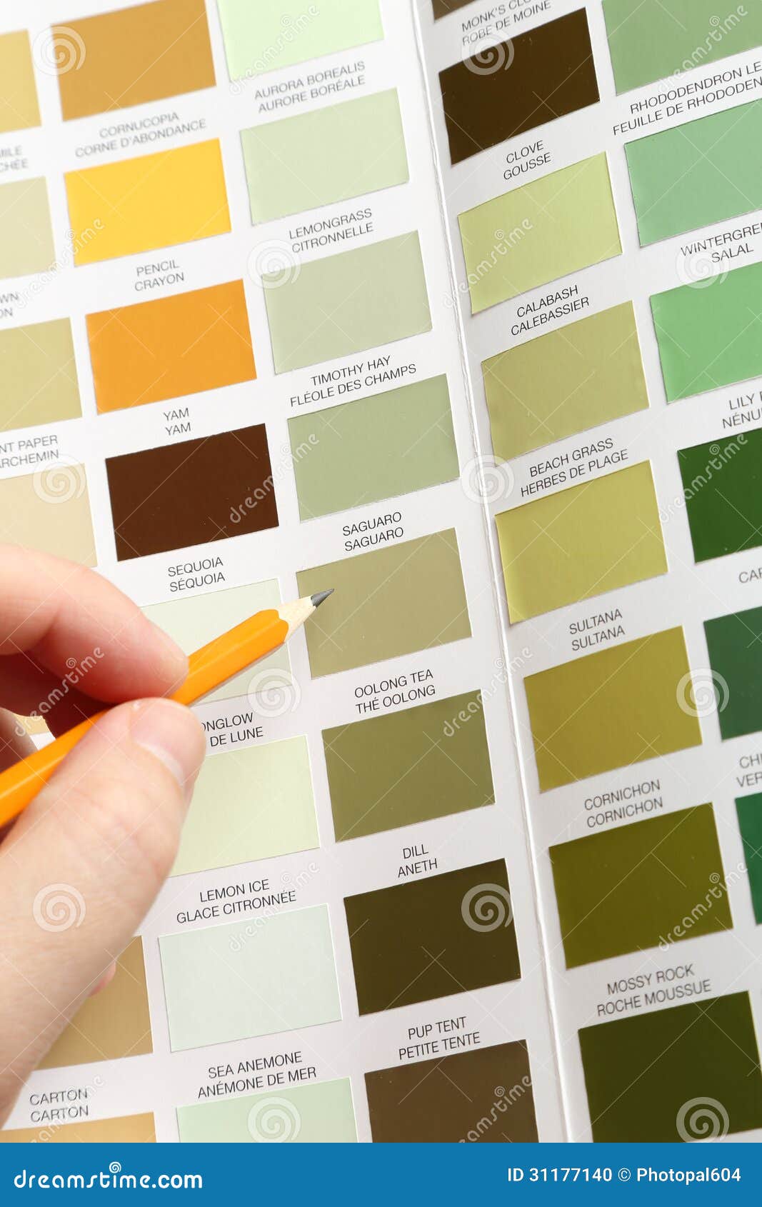 Pointing To Sample Color Chart Royalty-Free Stock Photo | CartoonDealer ...