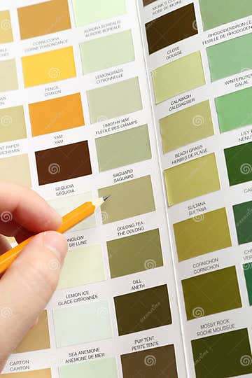 Pointing To a Sample Color Chart Stock Photo - Image of material ...