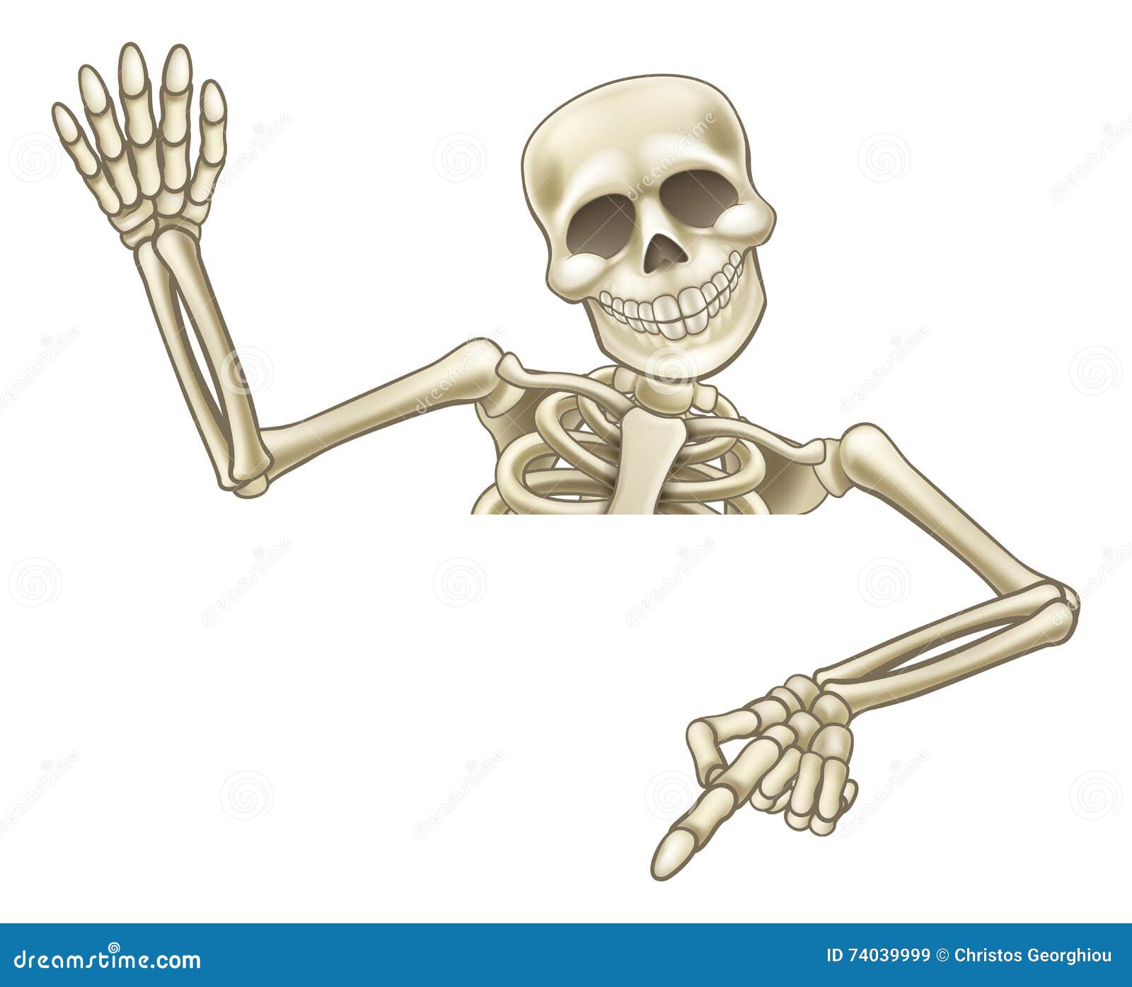 Cartoon Character Skeleton