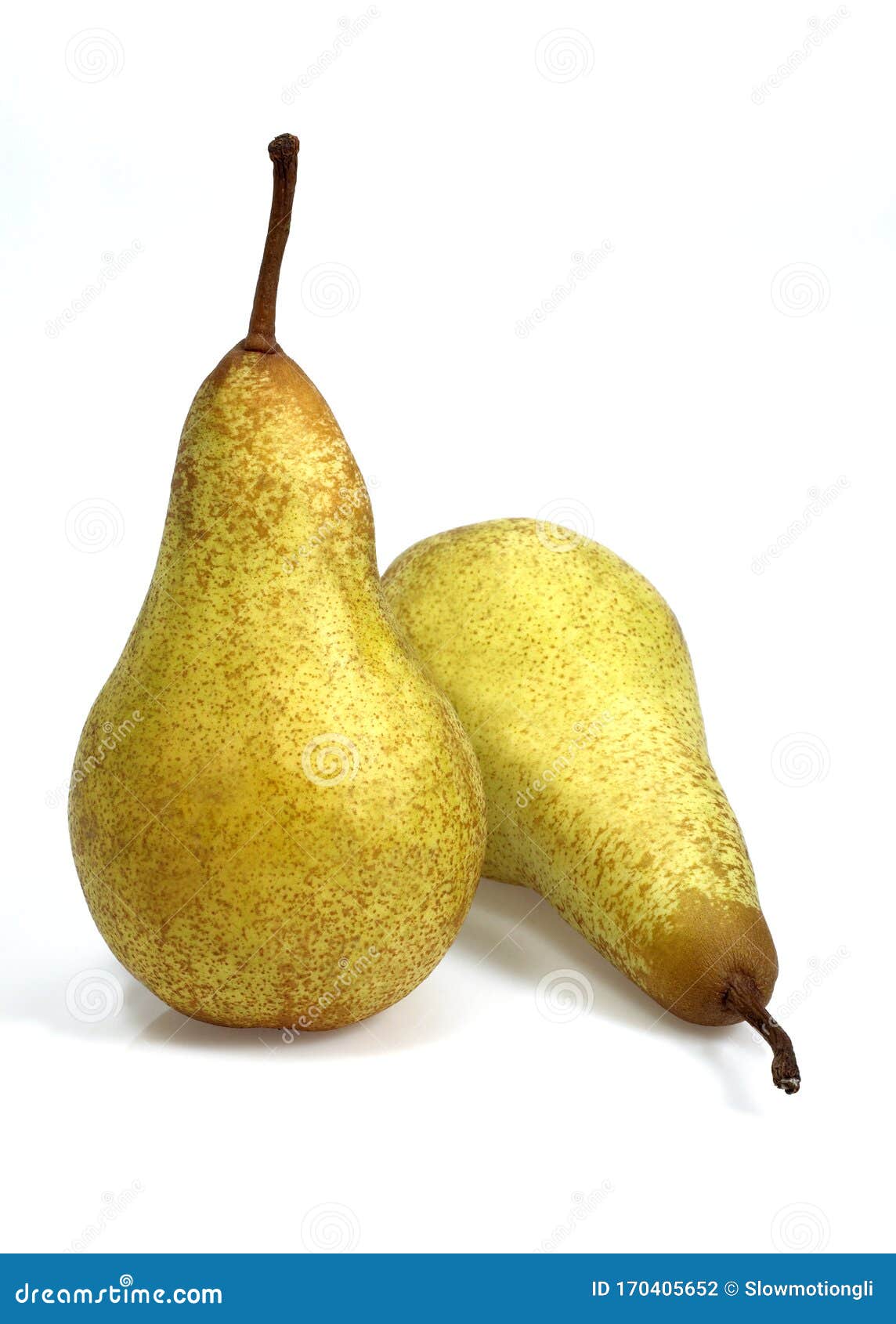 POIRE CONFERENCE stock photo. Image of conference, pear - 170405652