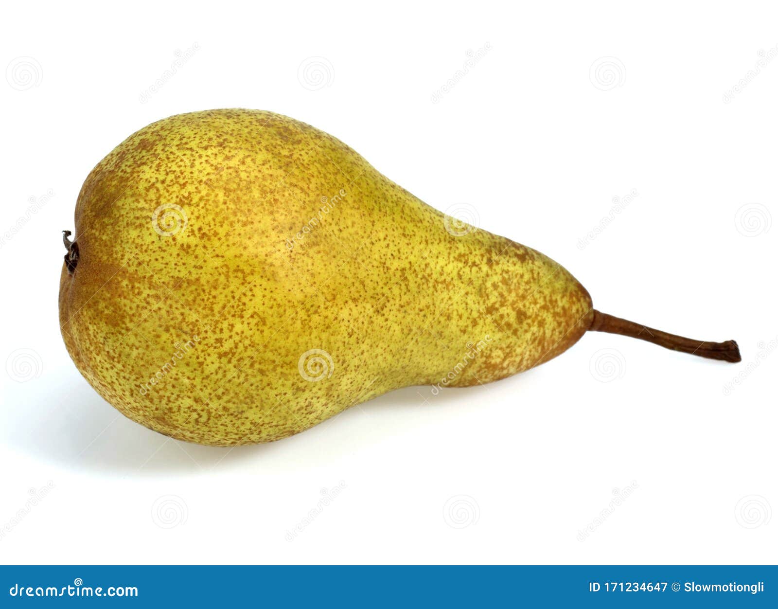 POIRE CONFERENCE stock image. Image of pear, botany - 171234647