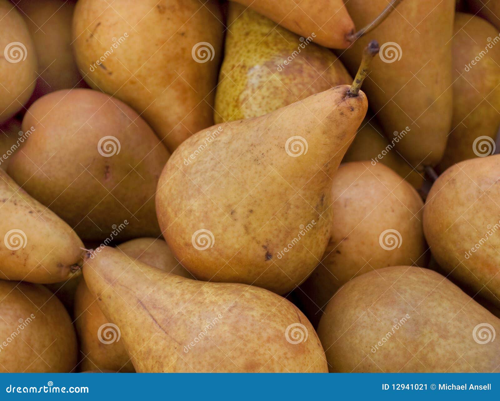 Poire de Bosc image stock. Image du marché, fermiers - 12941021