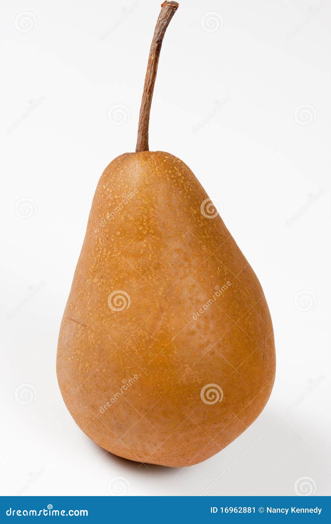 Poire de Bosc image stock. Image du mûr, entier, isolement - 16962881