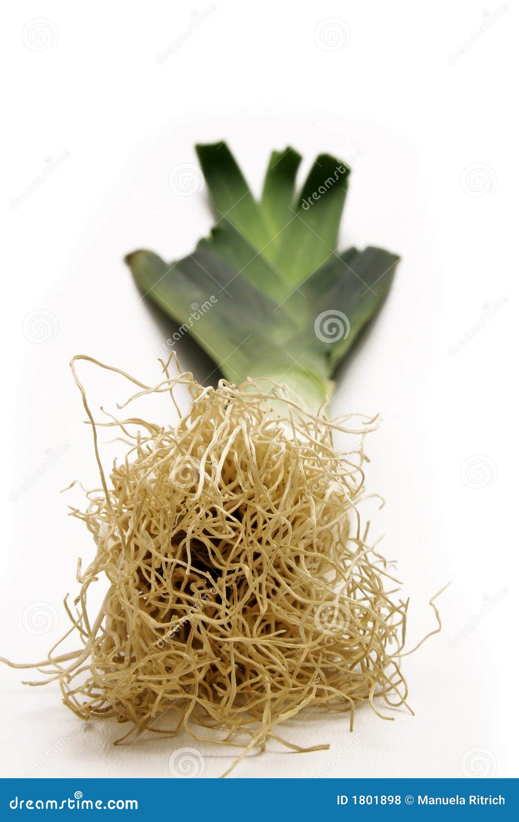 Poireau photo stock. Image du cuisine, alimentation, fond - 1801898