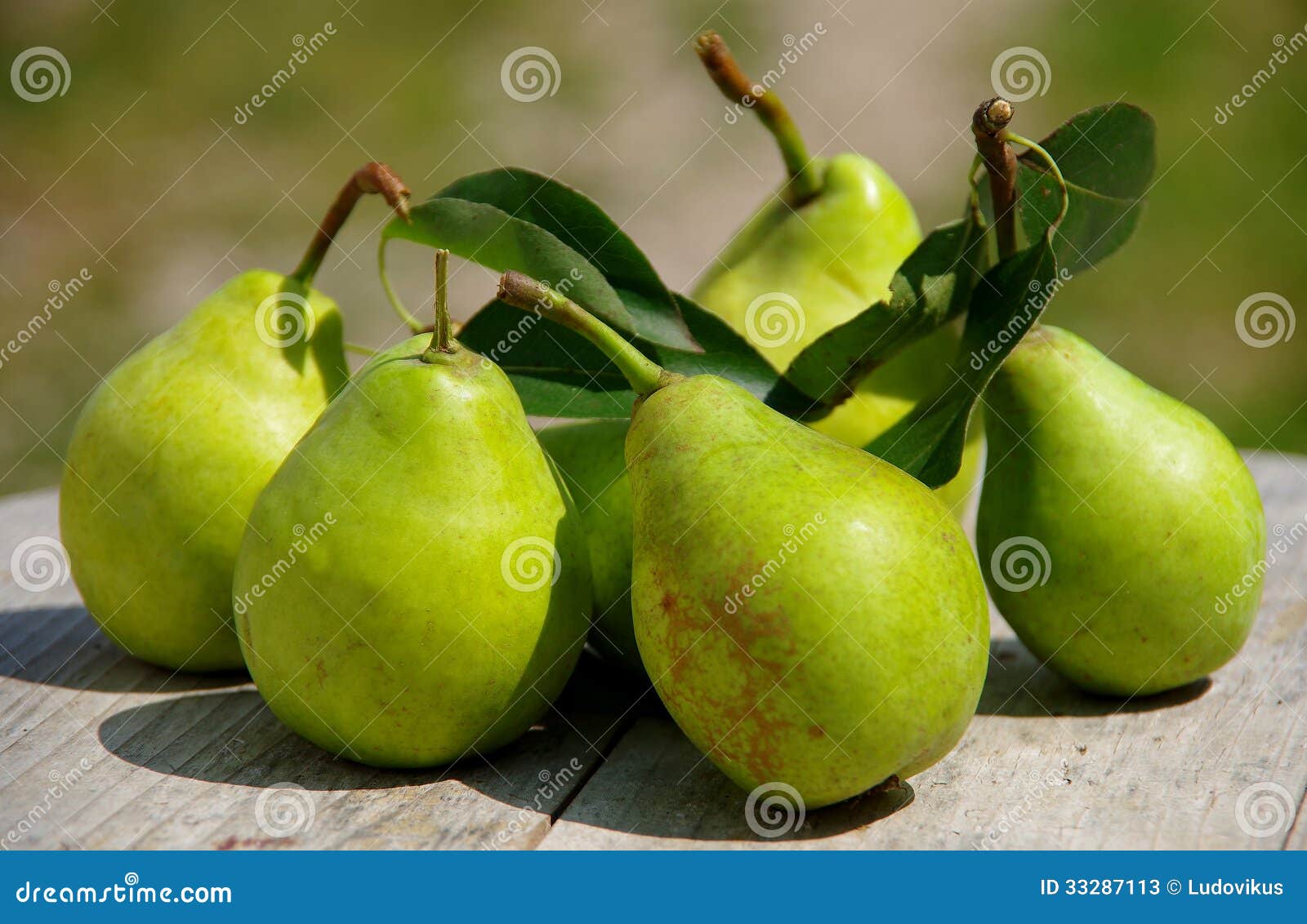 Poires vertes image stock. Image du groupe, image, poires - 33287113