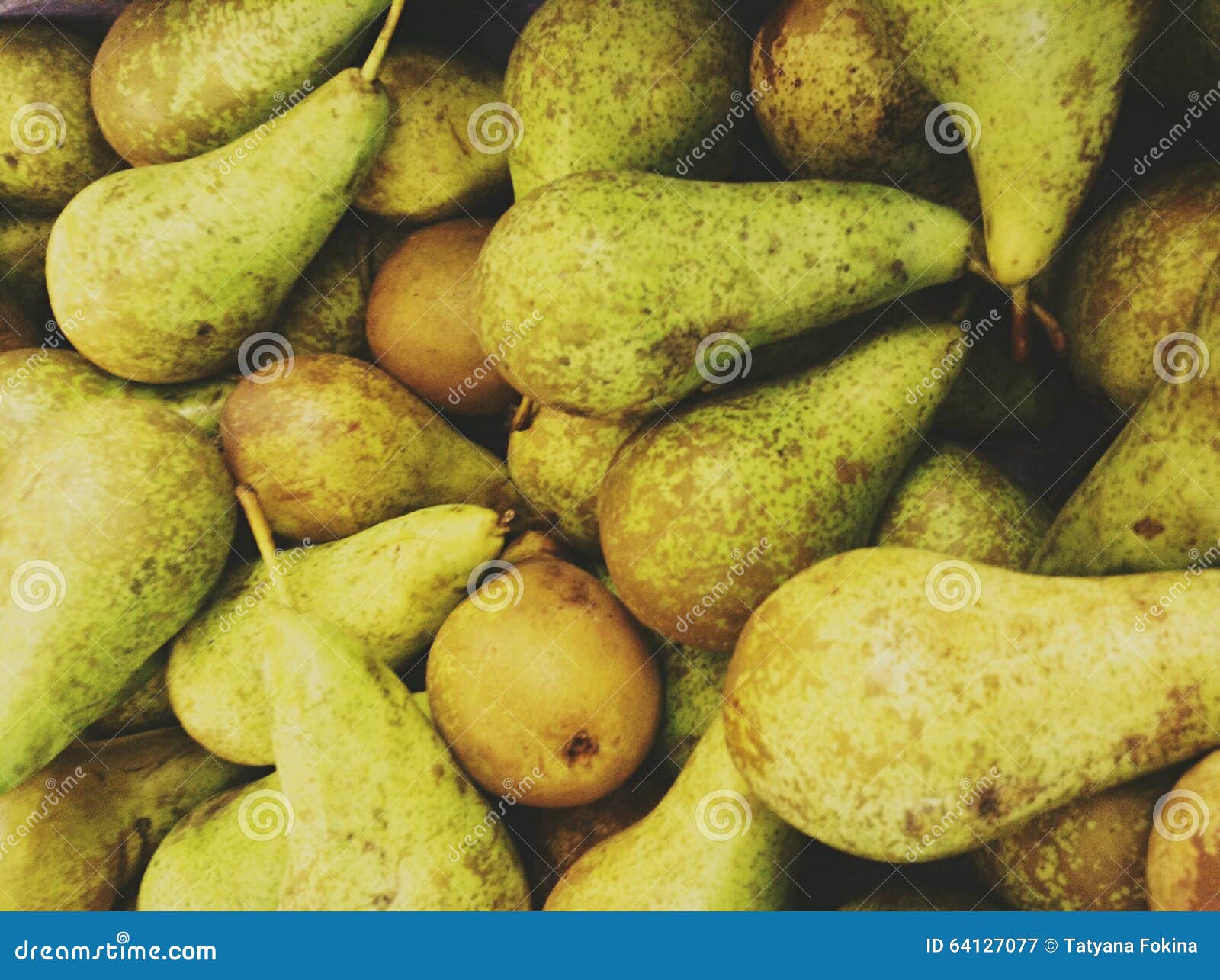 Poires vertes image stock. Image du poires, fruits, moisson - 64127077