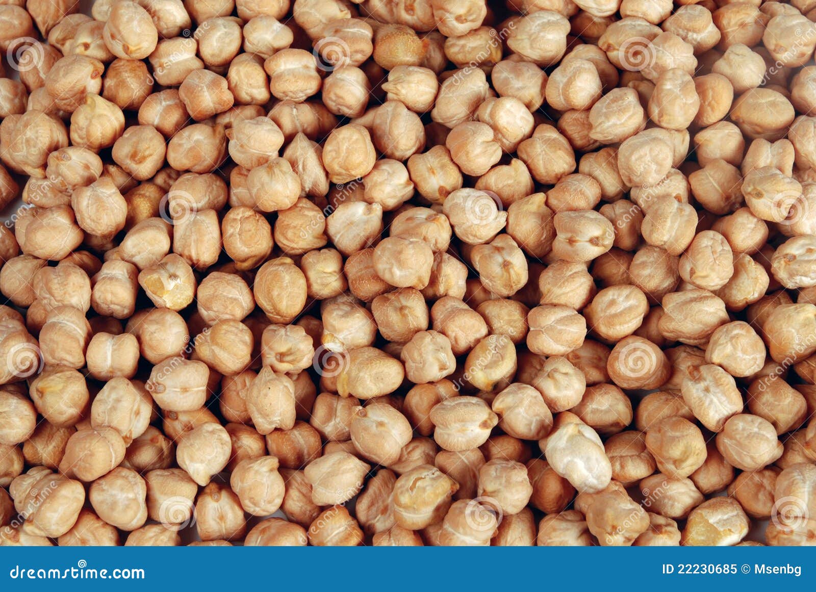 Pois chiche image stock. Image du nourriture, graines - 22230685